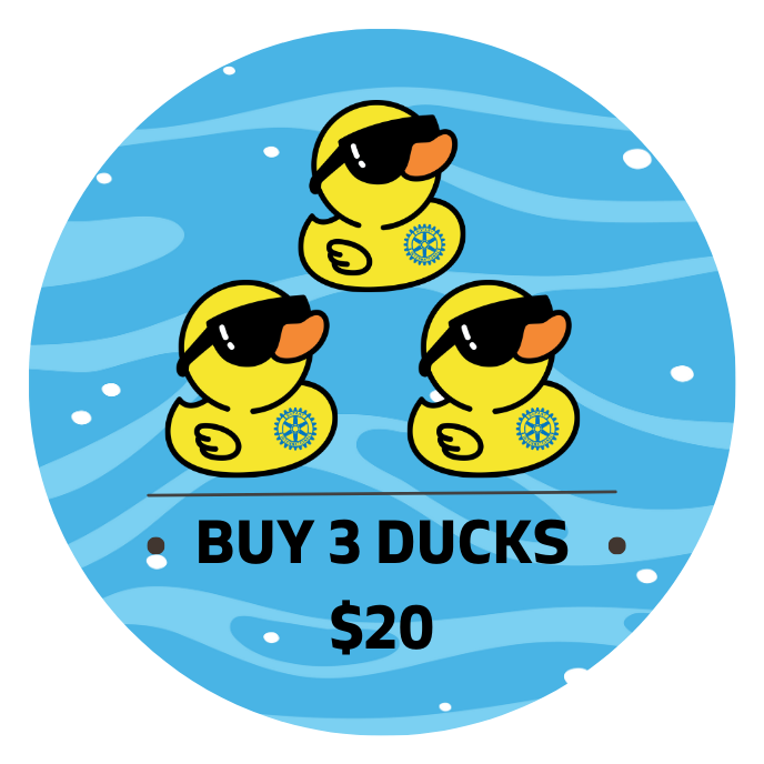 Purchase Ducks Here — Castle Rock Rotary Ducky Derby