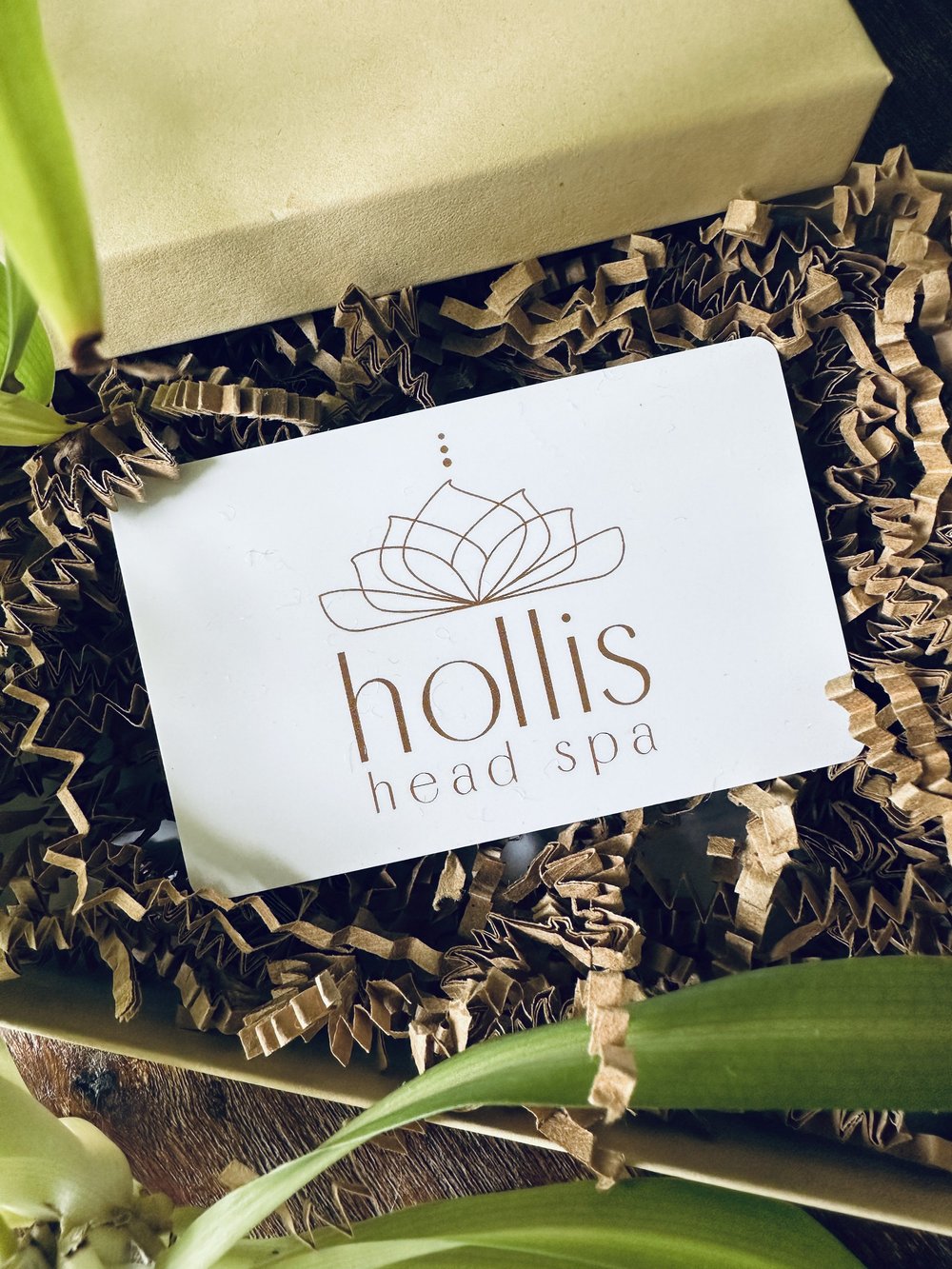 Hollis Head Spa | SWFL Head Spa | Japanese Inspired and Educated ...