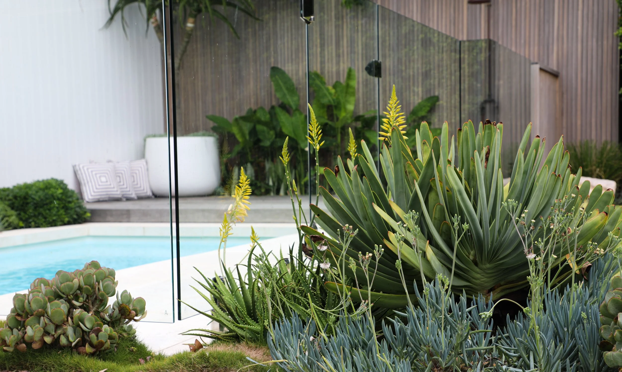 Landscape Garden Design Sydney Northern Beaches — MLS Landscapes