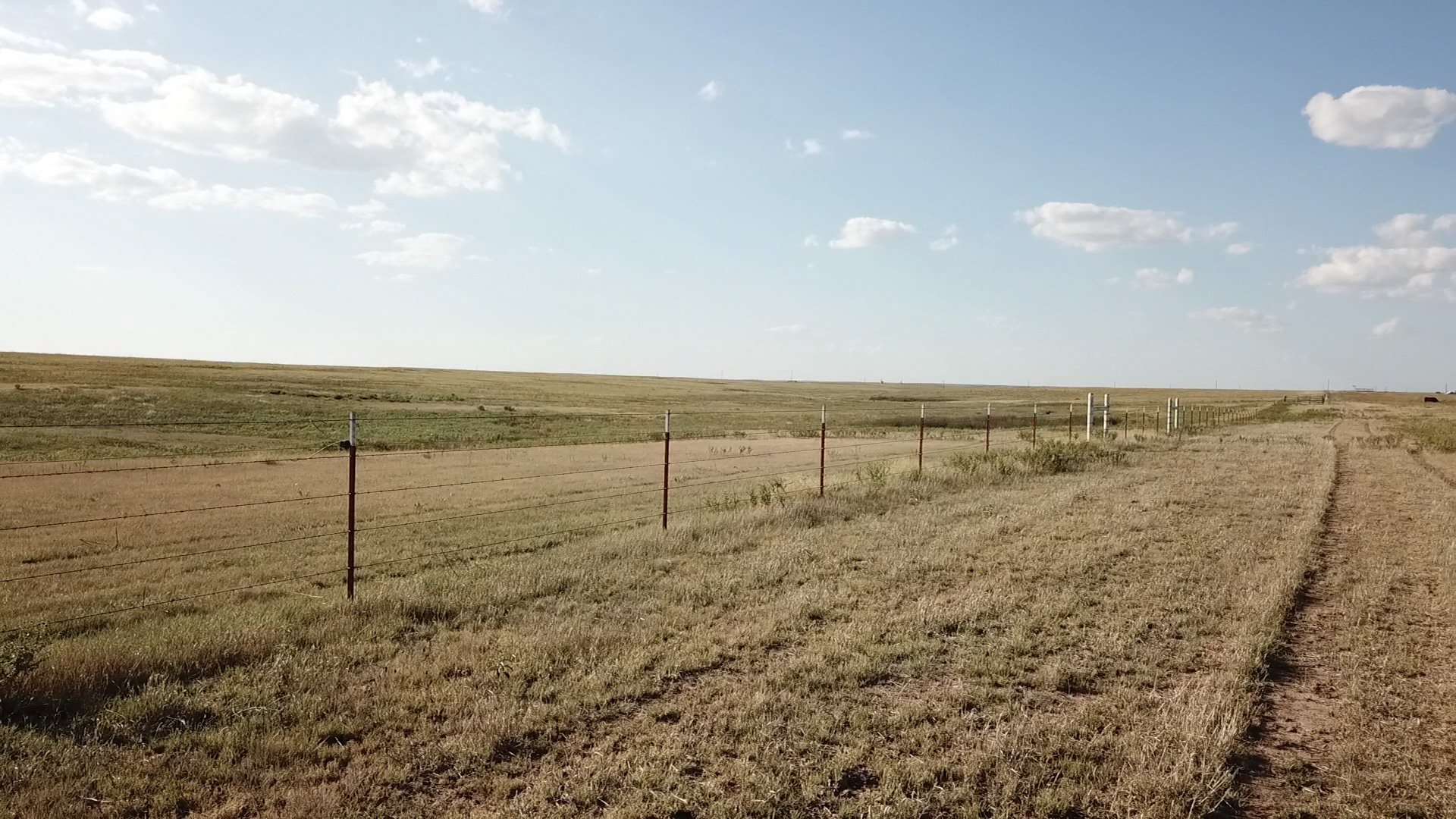 WI GrassWorks — NatGLC