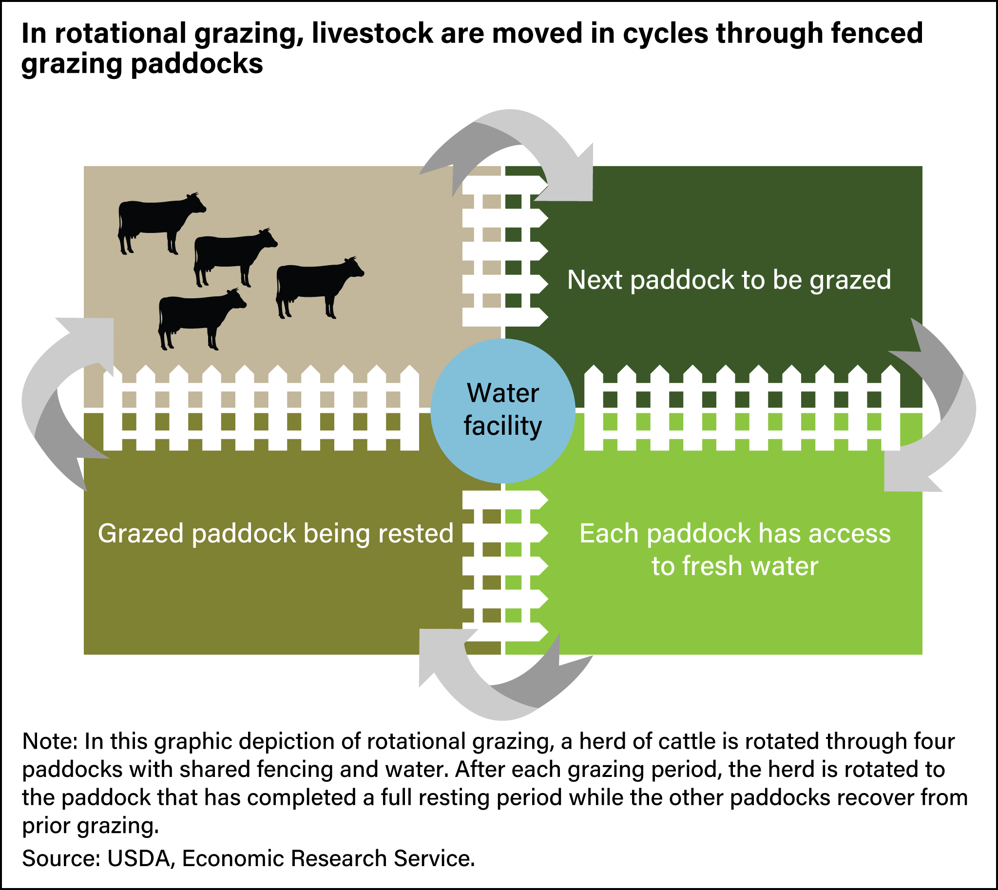 The Basics of Rotational Grazing — NatGLC