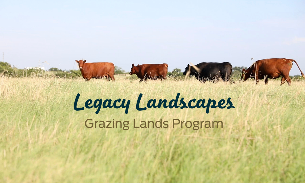 Legacy Landscapes — NatGLC