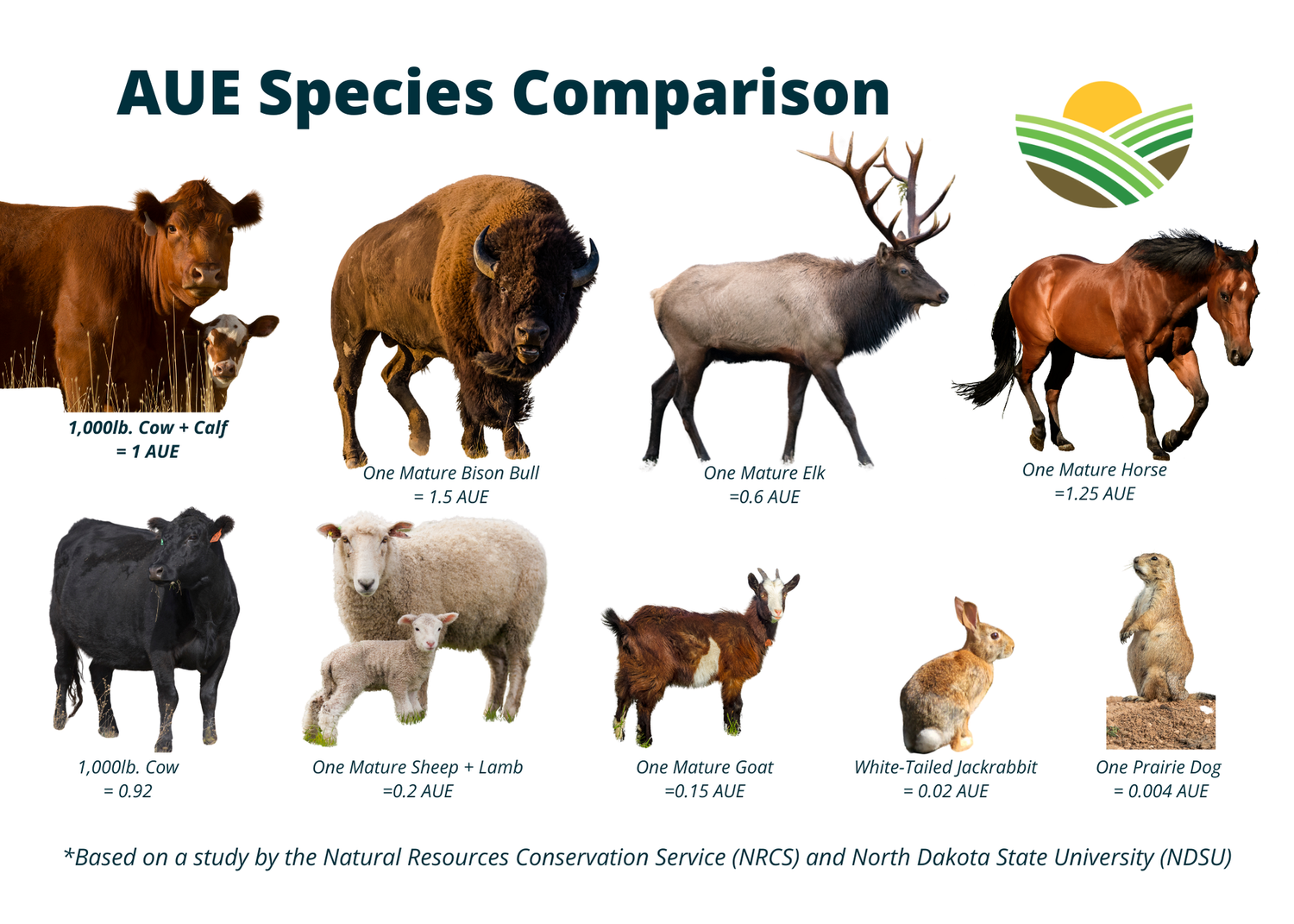 Livestock Stocking Rates: What Exactly is an Animal Unit Month (AUM ...