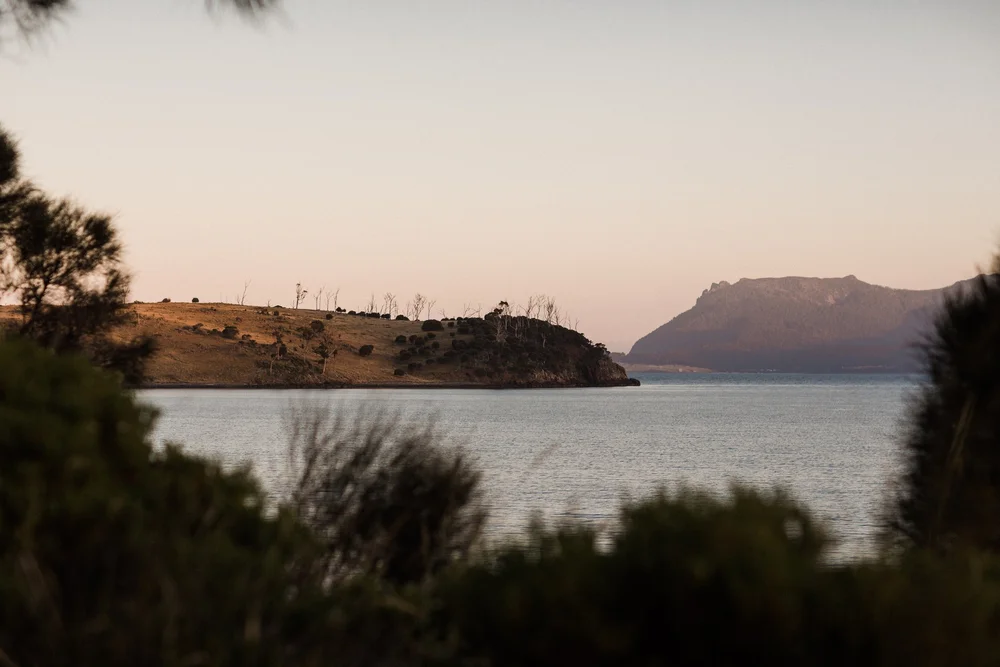 Start Planning — Spring Bay Mill