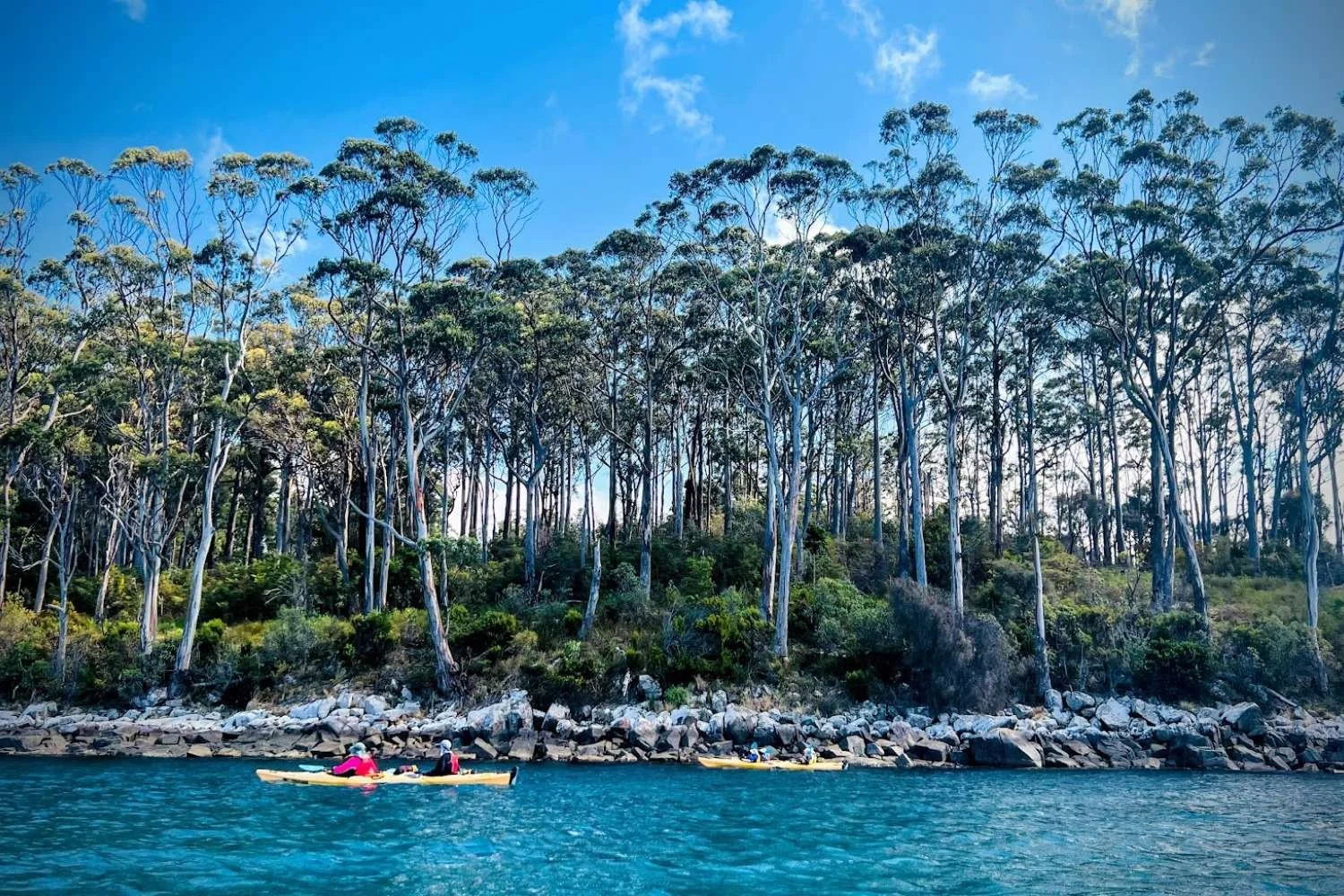Kayaking Adventures at Spring Bay Mill Tasmania — Spring Bay Mill