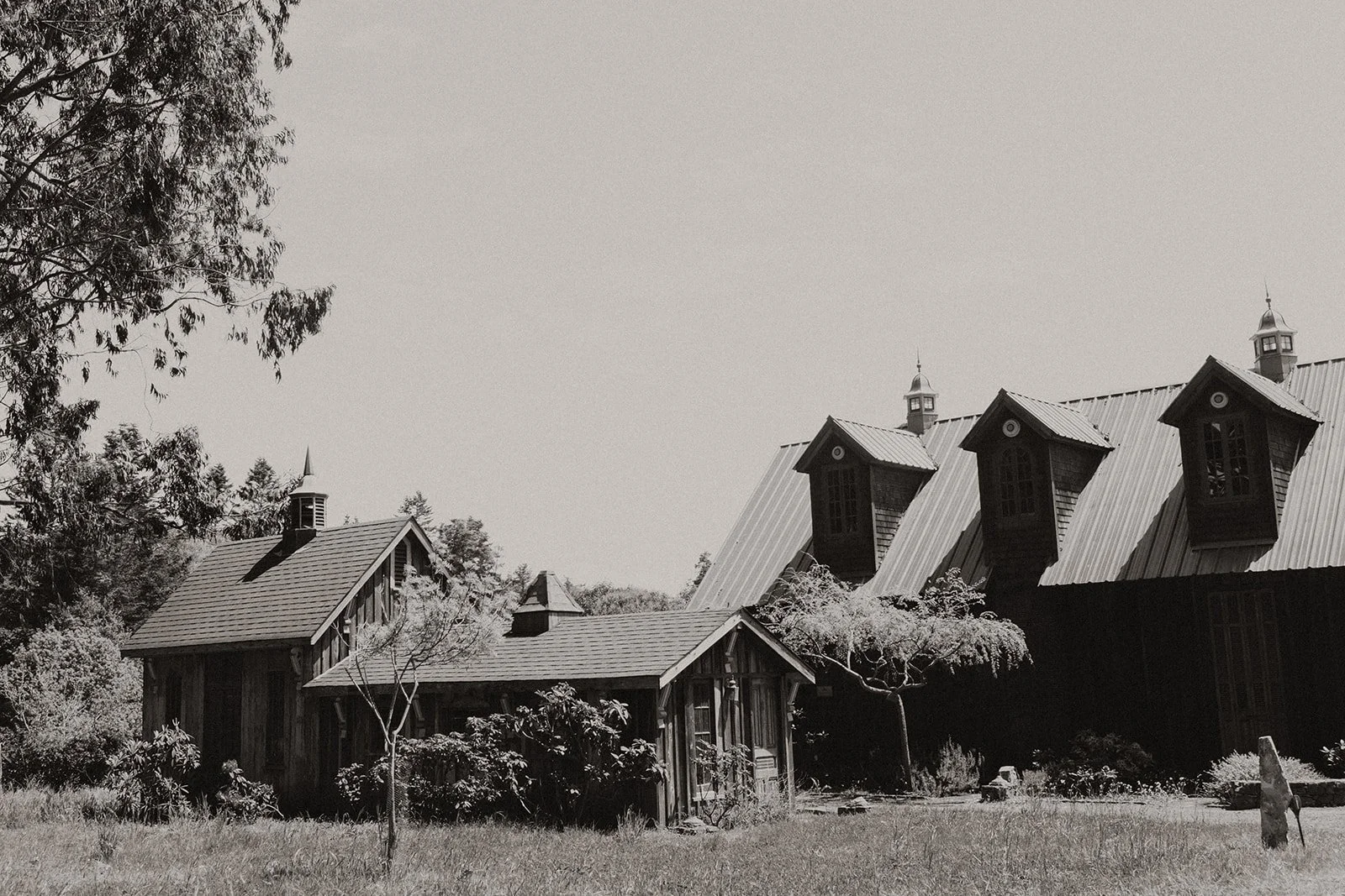 A Laid-Back Spring Ranch Mendocino Wedding: A Northern California ...