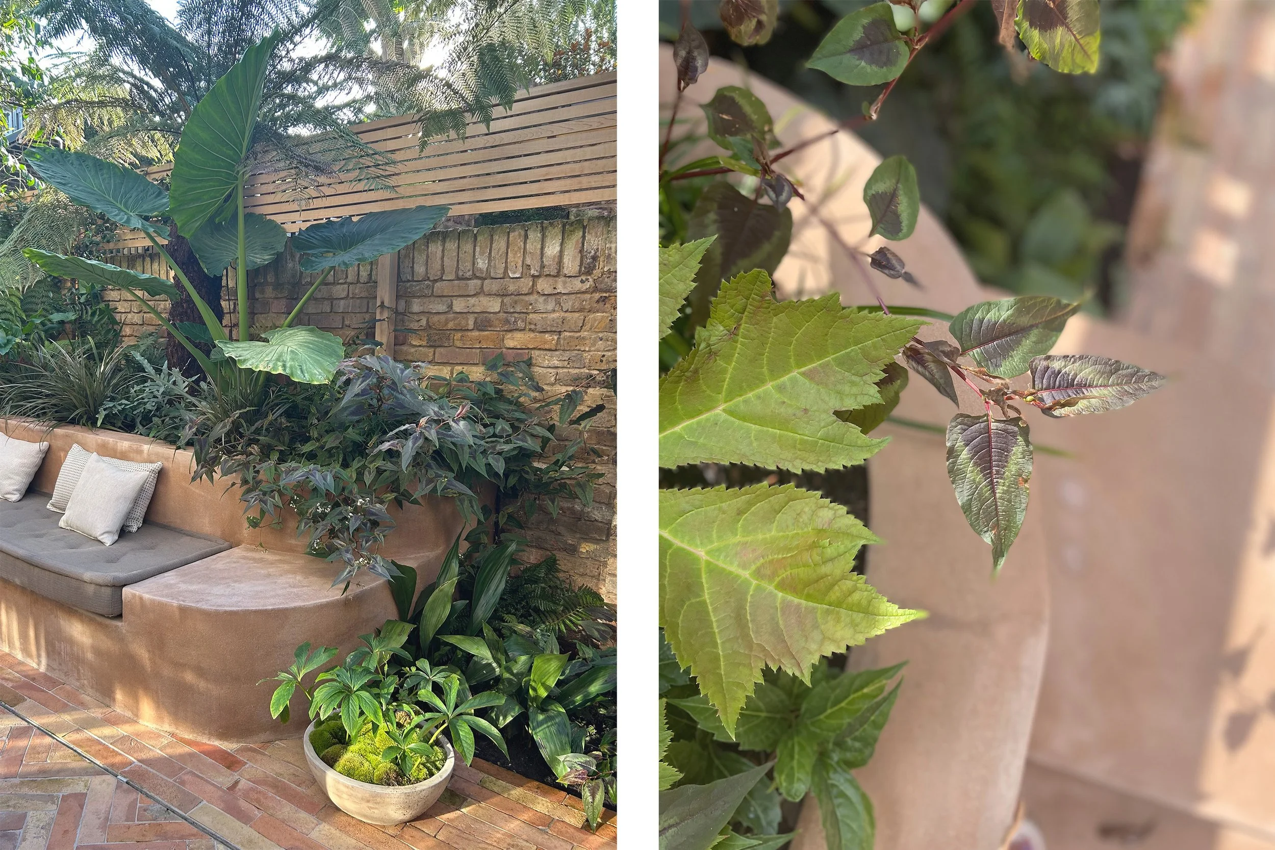 Primrose Hill Courtyard — Lulu Roper-Caldbeck