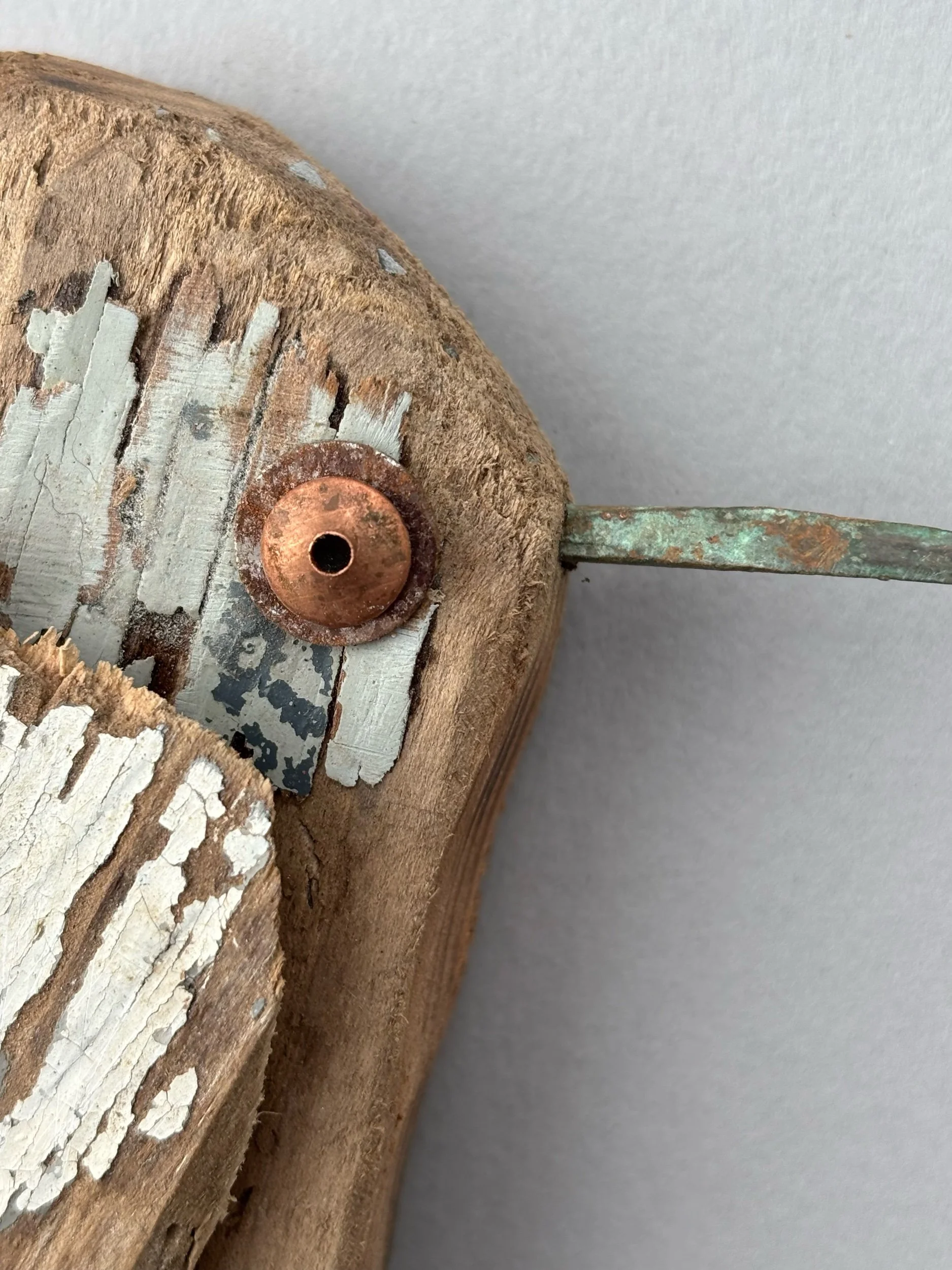 White Kingfisher — Kirsty Elson