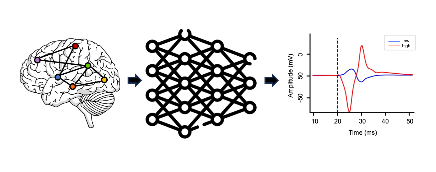 Real-time EEG decoding (TMS-EEG) — Ziemann Lab