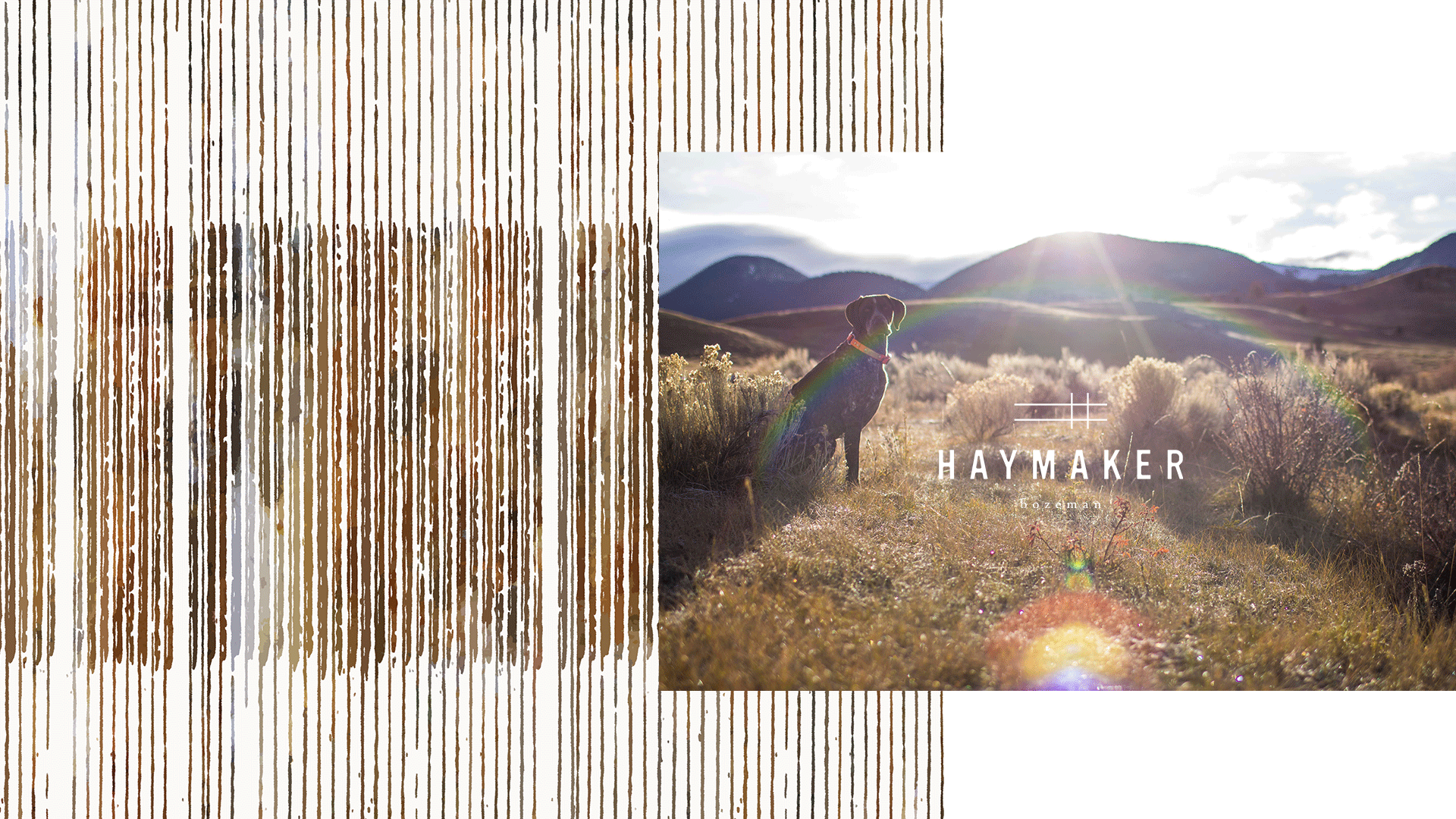 Haymaker | Bozeman, MT — Brand and design agency for multifamily ...