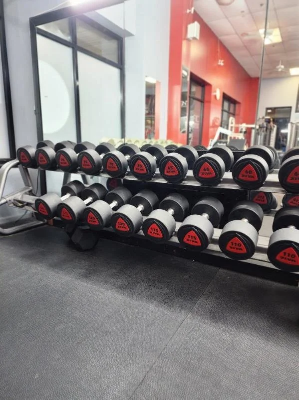 Bloomington — Indiana Fitness Club