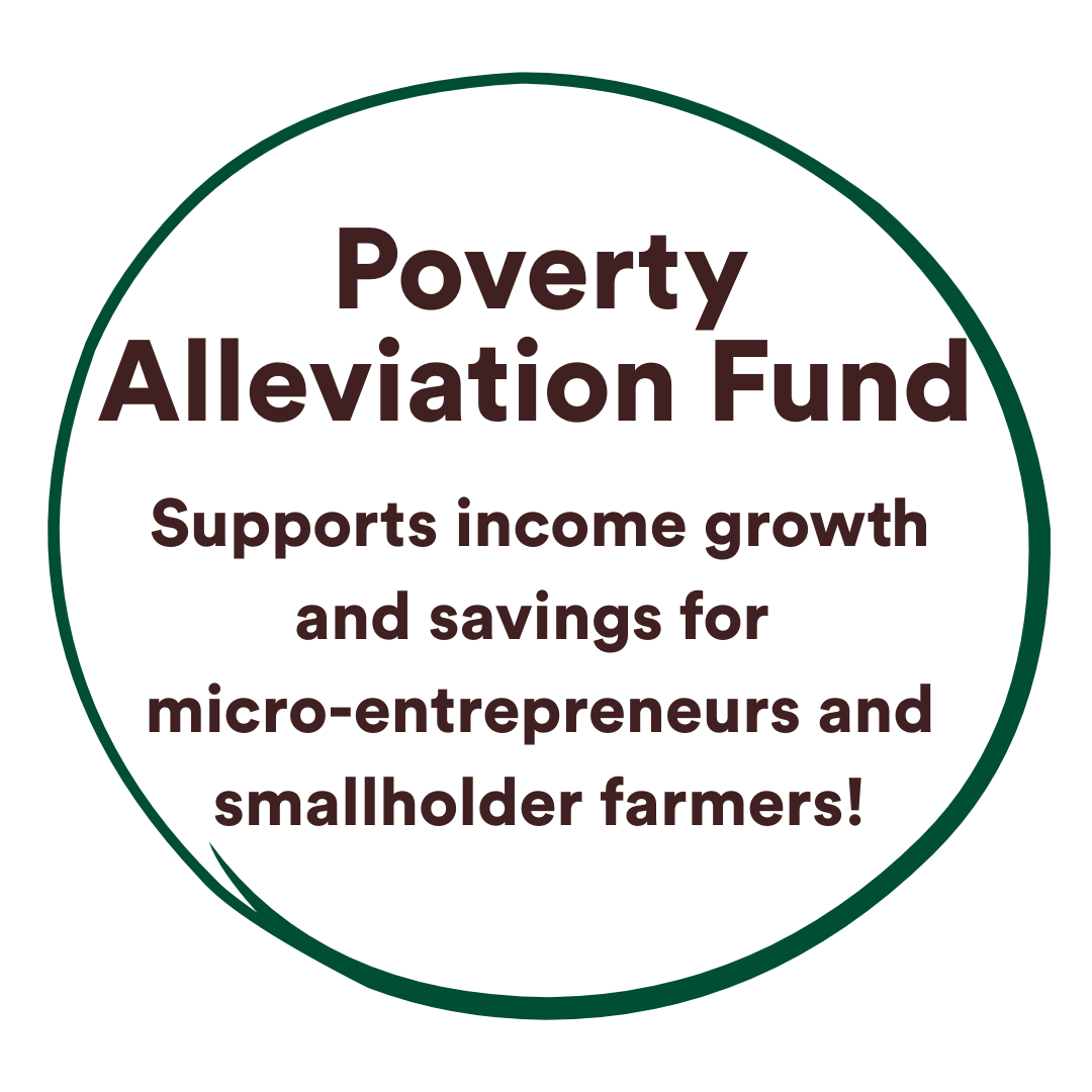 Main Donation | Make a Difference Today — WFM Foundation