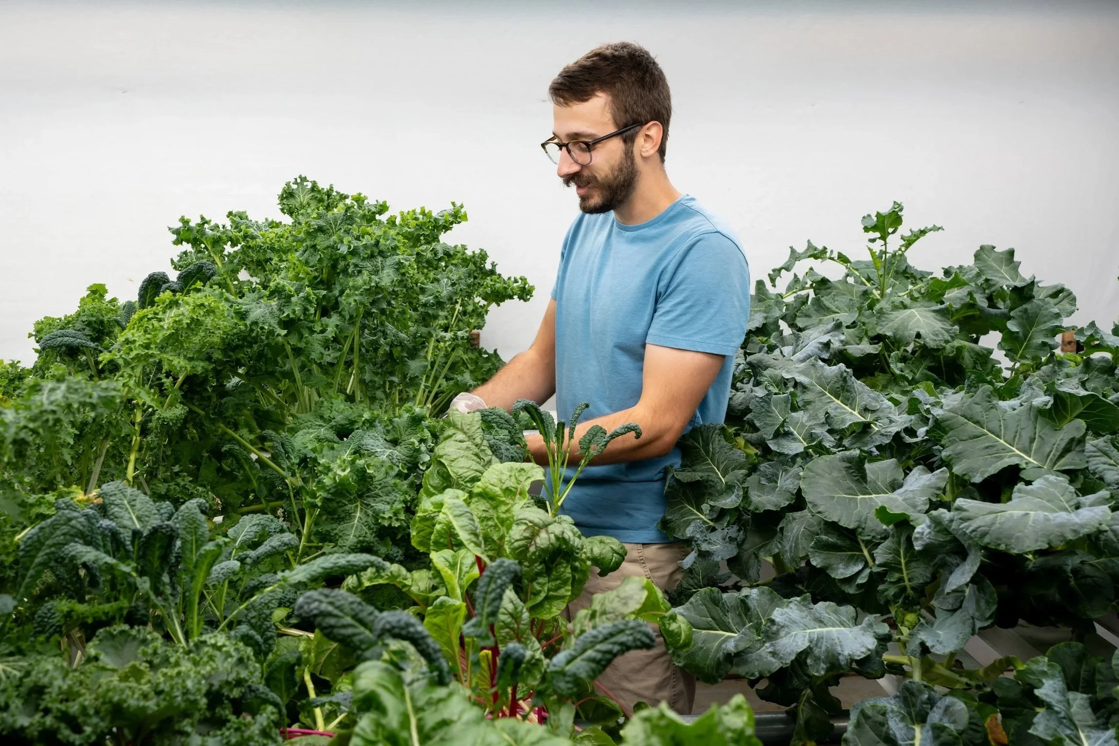 Community First Grant | Support Community Food Access Today — WFM ...