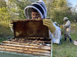 Bee Grant | Support Pollinator Education Today — WFM Foundation