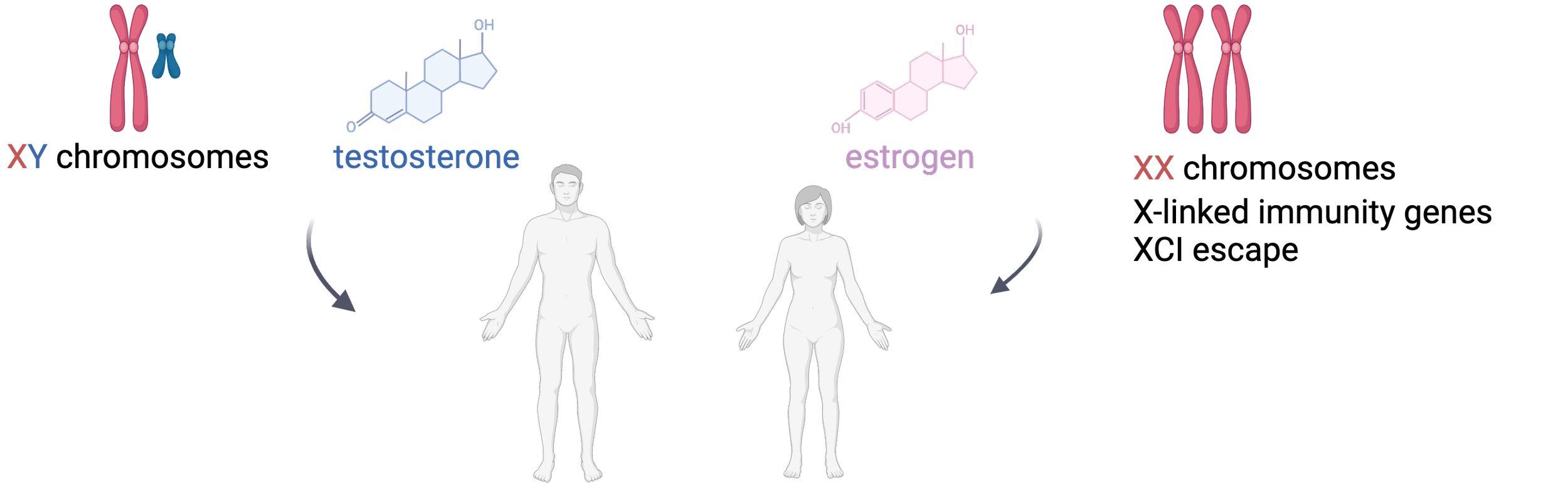 About Us — Anguera Lab