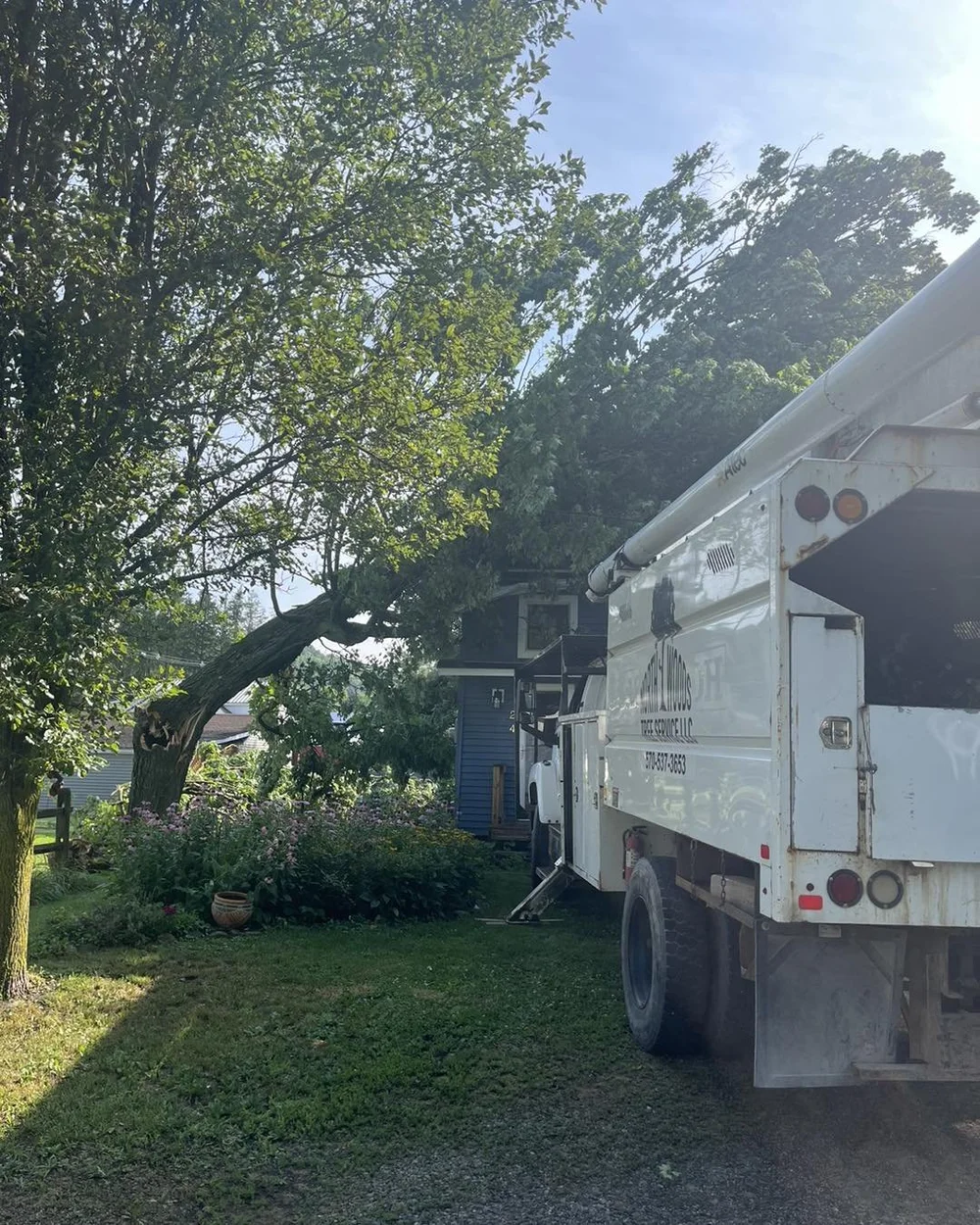 North Woods Tree Service LLC