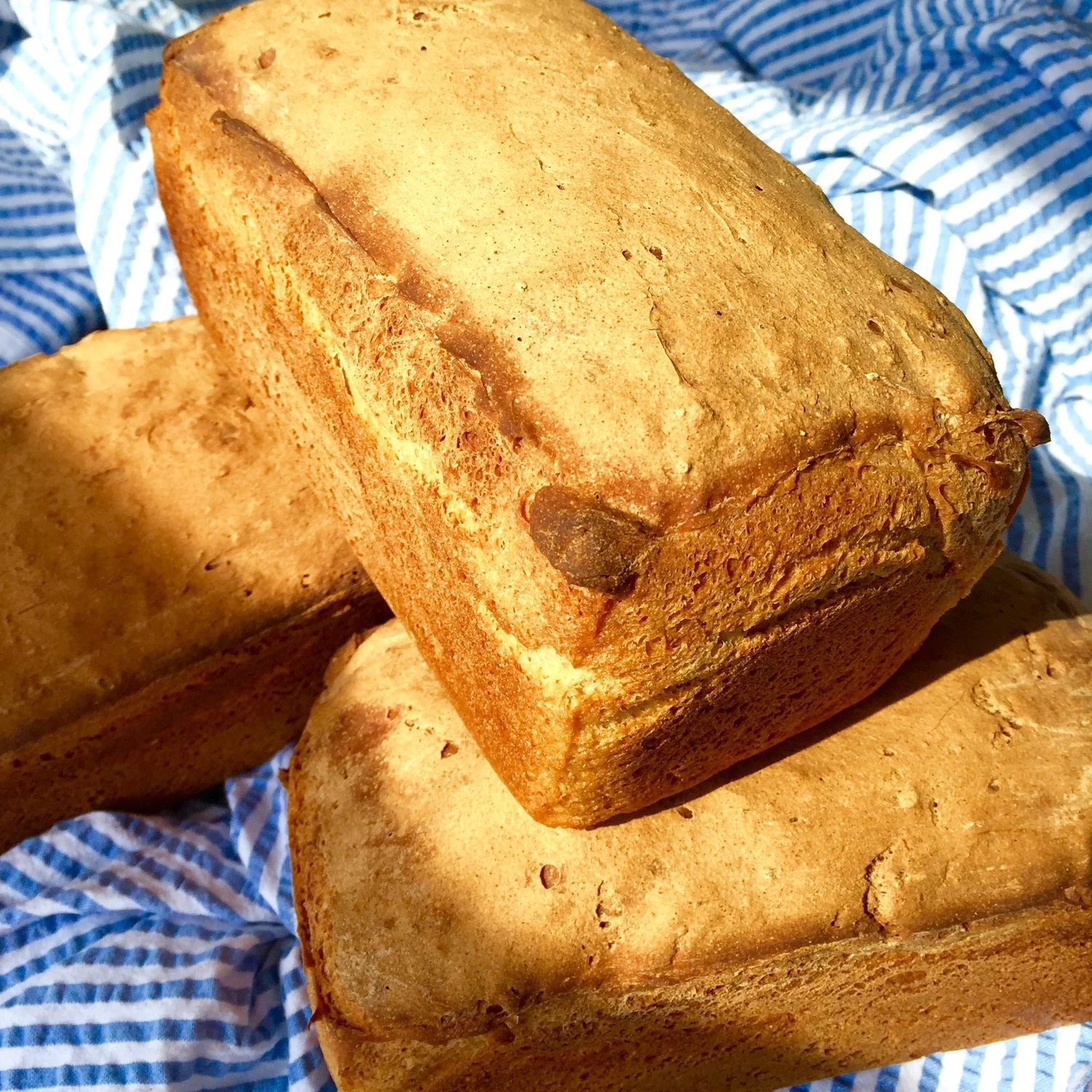 Home [www.purelovebakery.com]