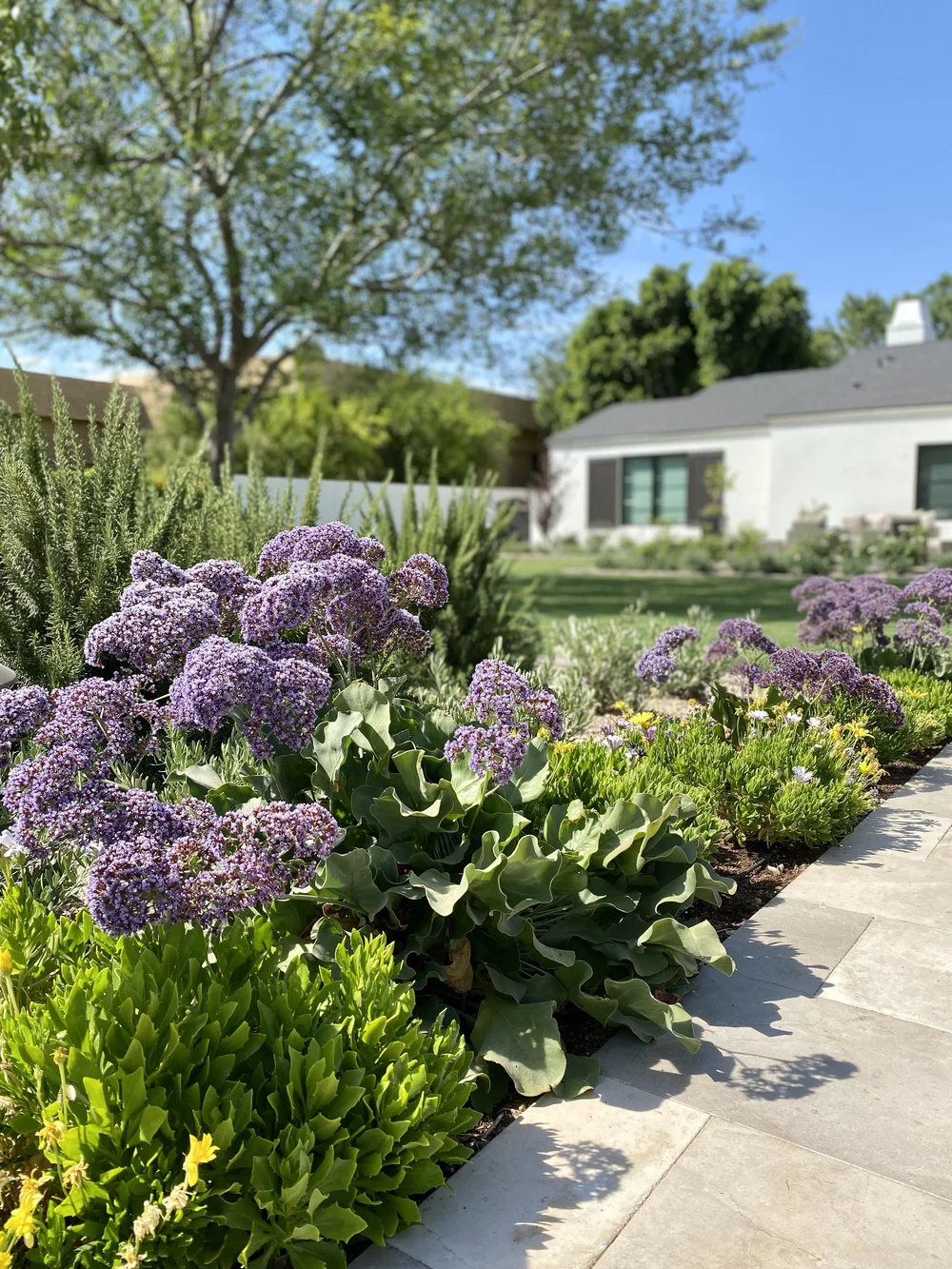 Contact — Landscape Resources