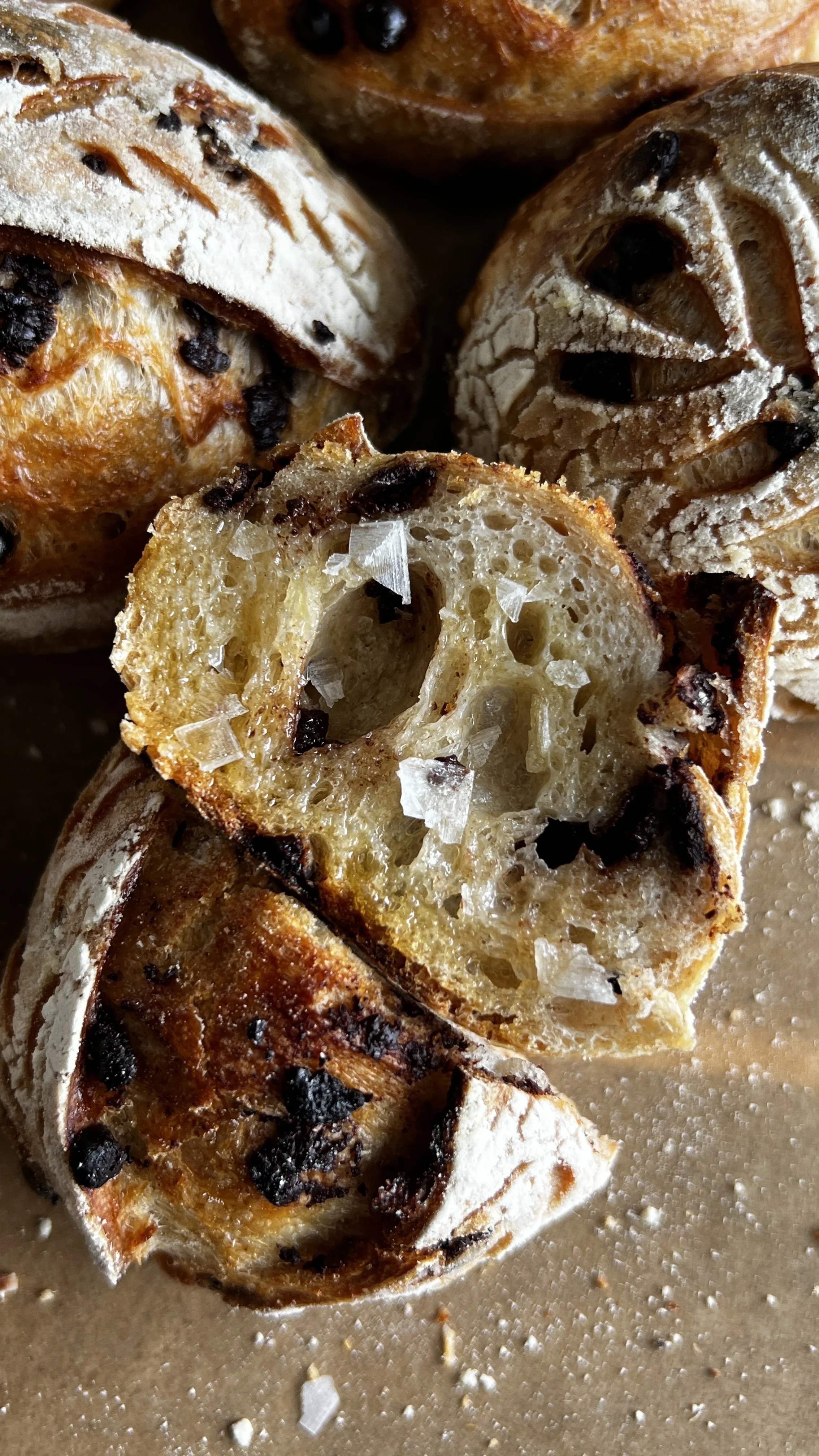Mini Chocolate Chip Sourdough Loaves — Well Made by Kiley