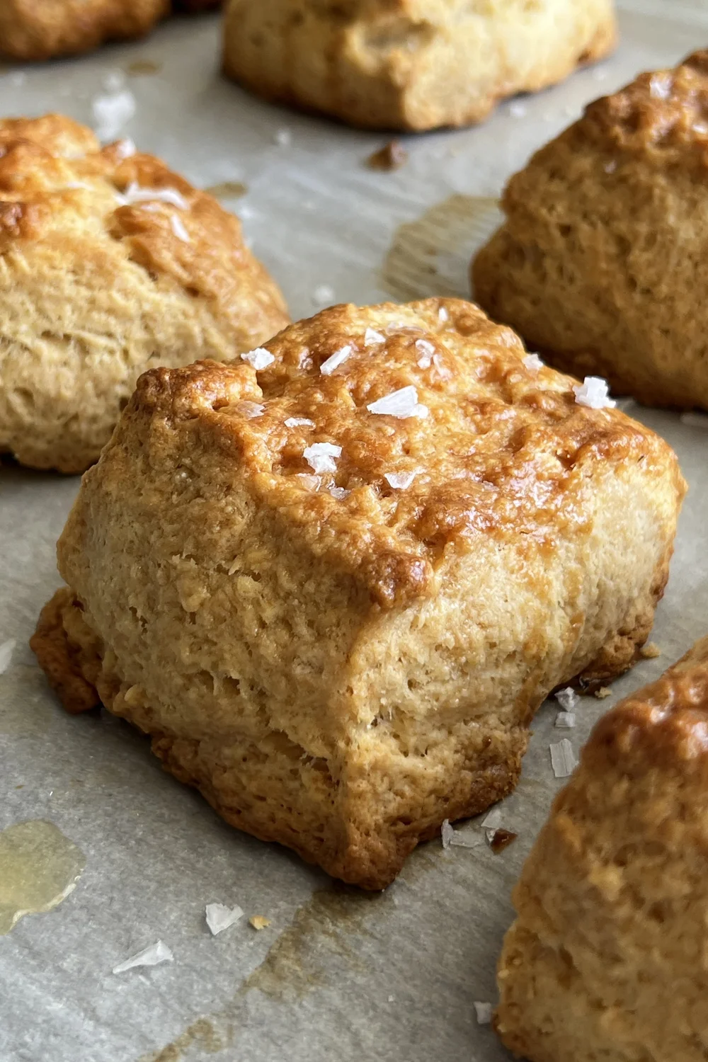 Salted Honey Butter Buttermilk Biscuits — Well Made by Kiley