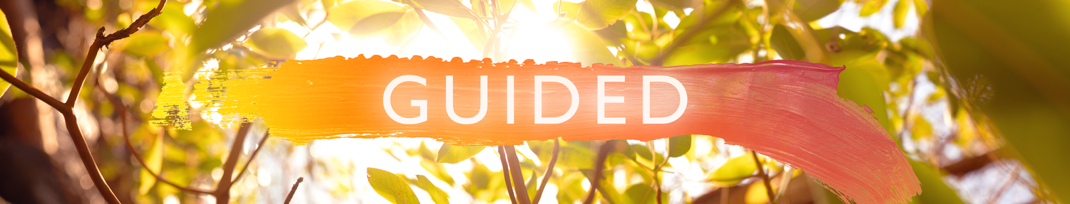 GUIDED — A Line Within