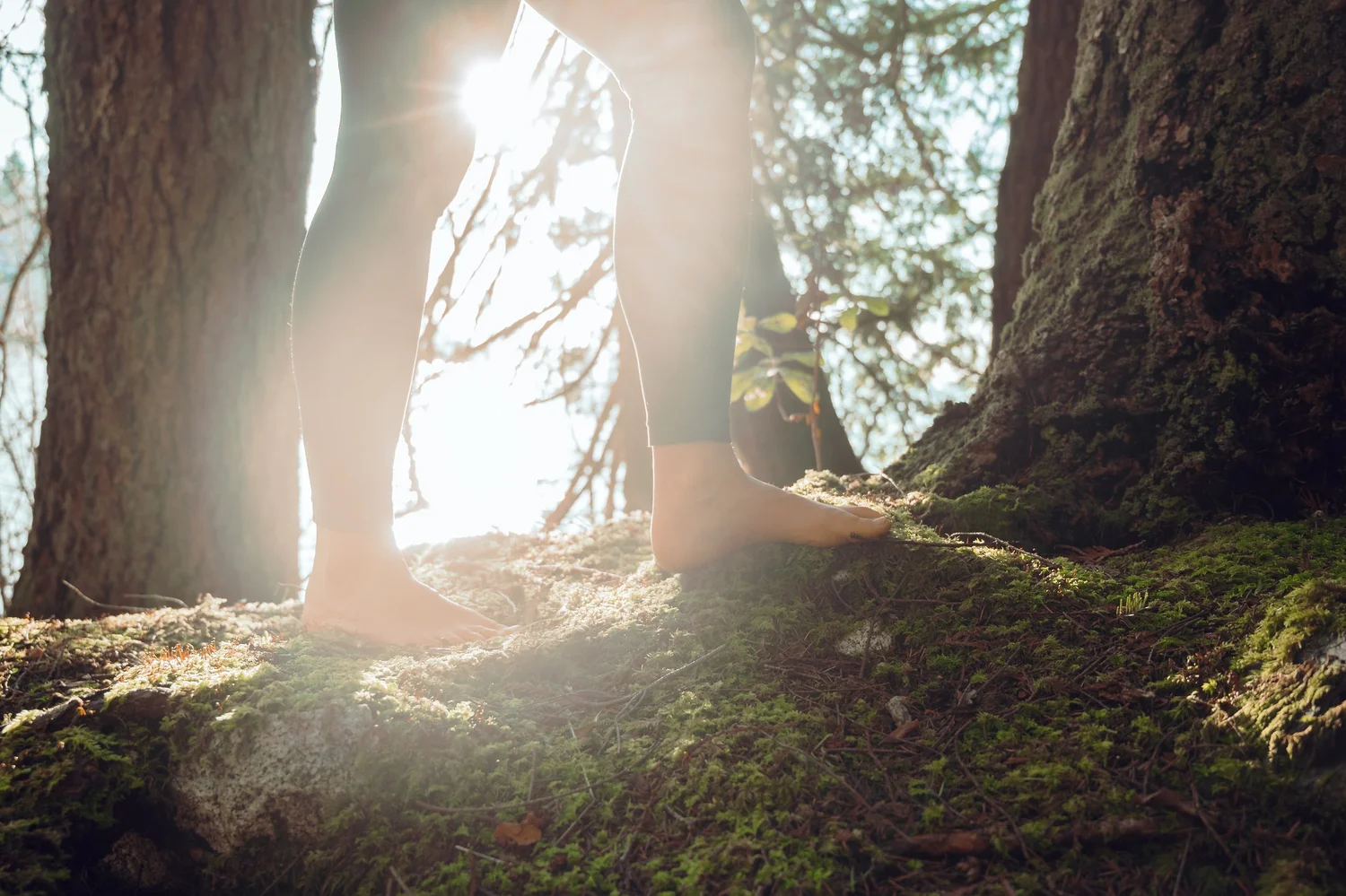 GUIDED — A Line Within