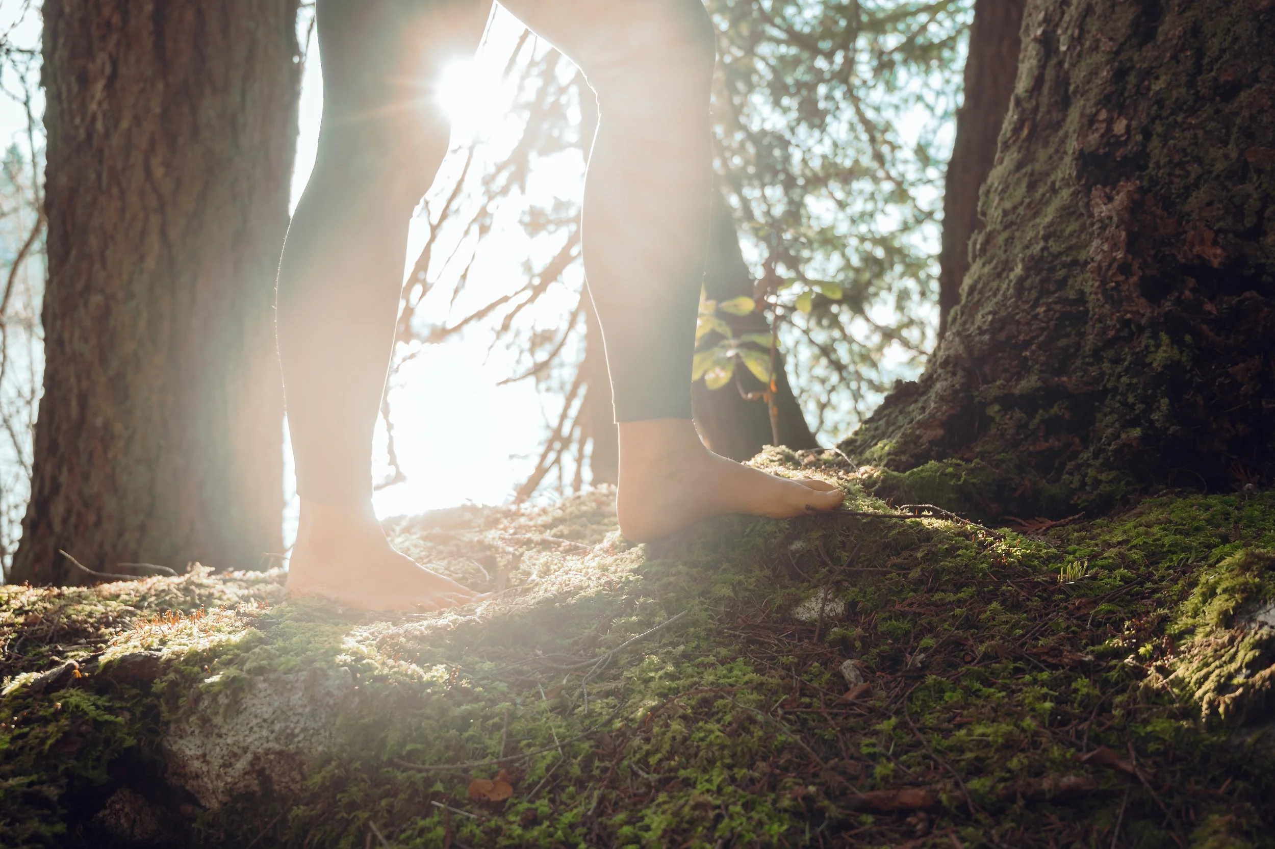 GUIDED — A Line Within