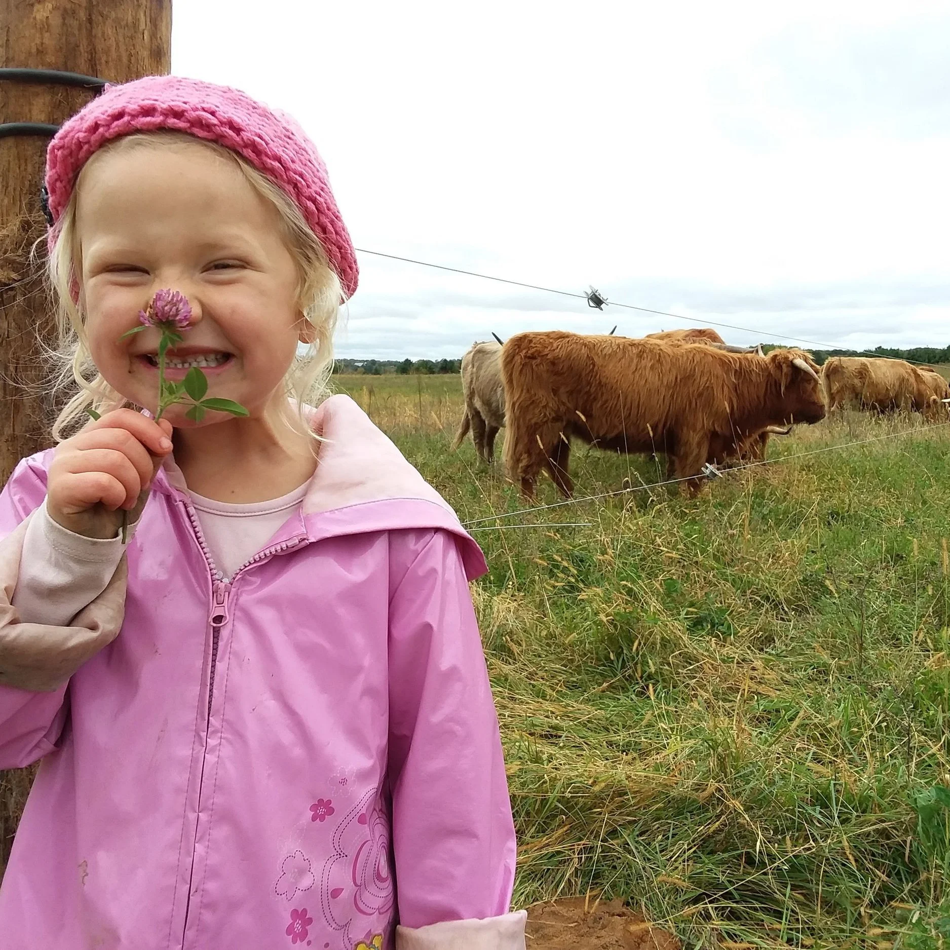 About the Farm — Blackbrook Farm