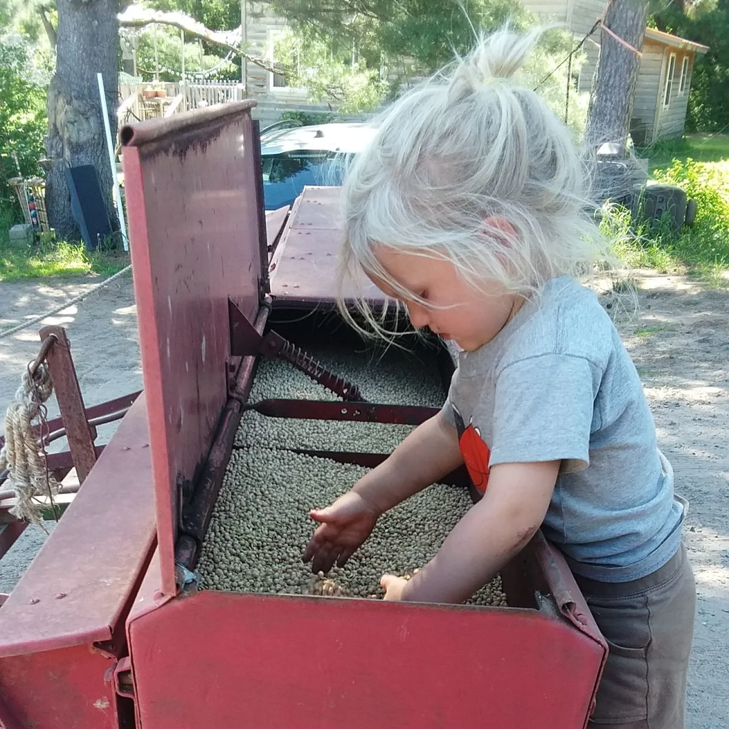 About the Farm — Blackbrook Farm