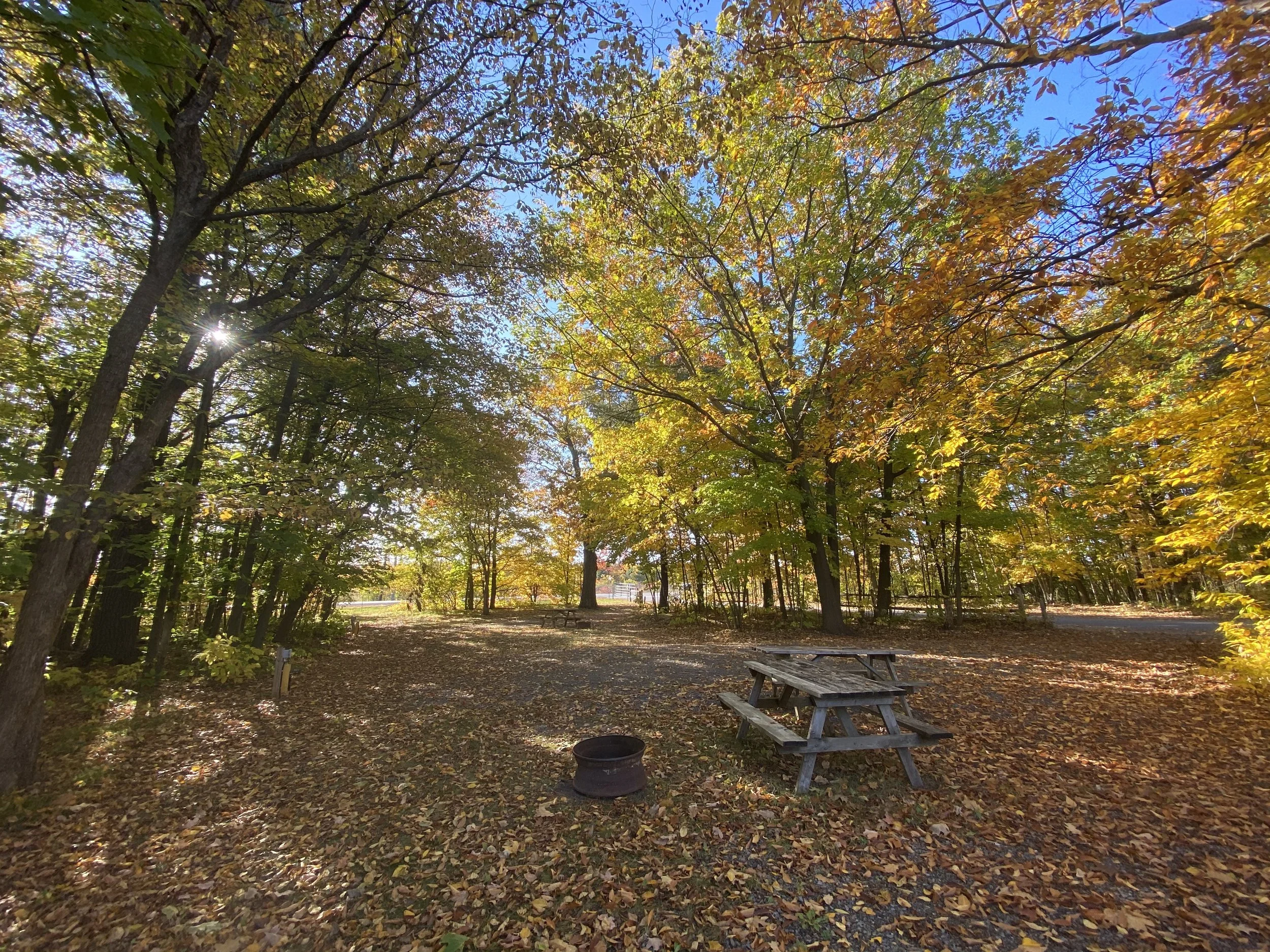 Wesley Clover Parks Campground — Wesley Clover Parks