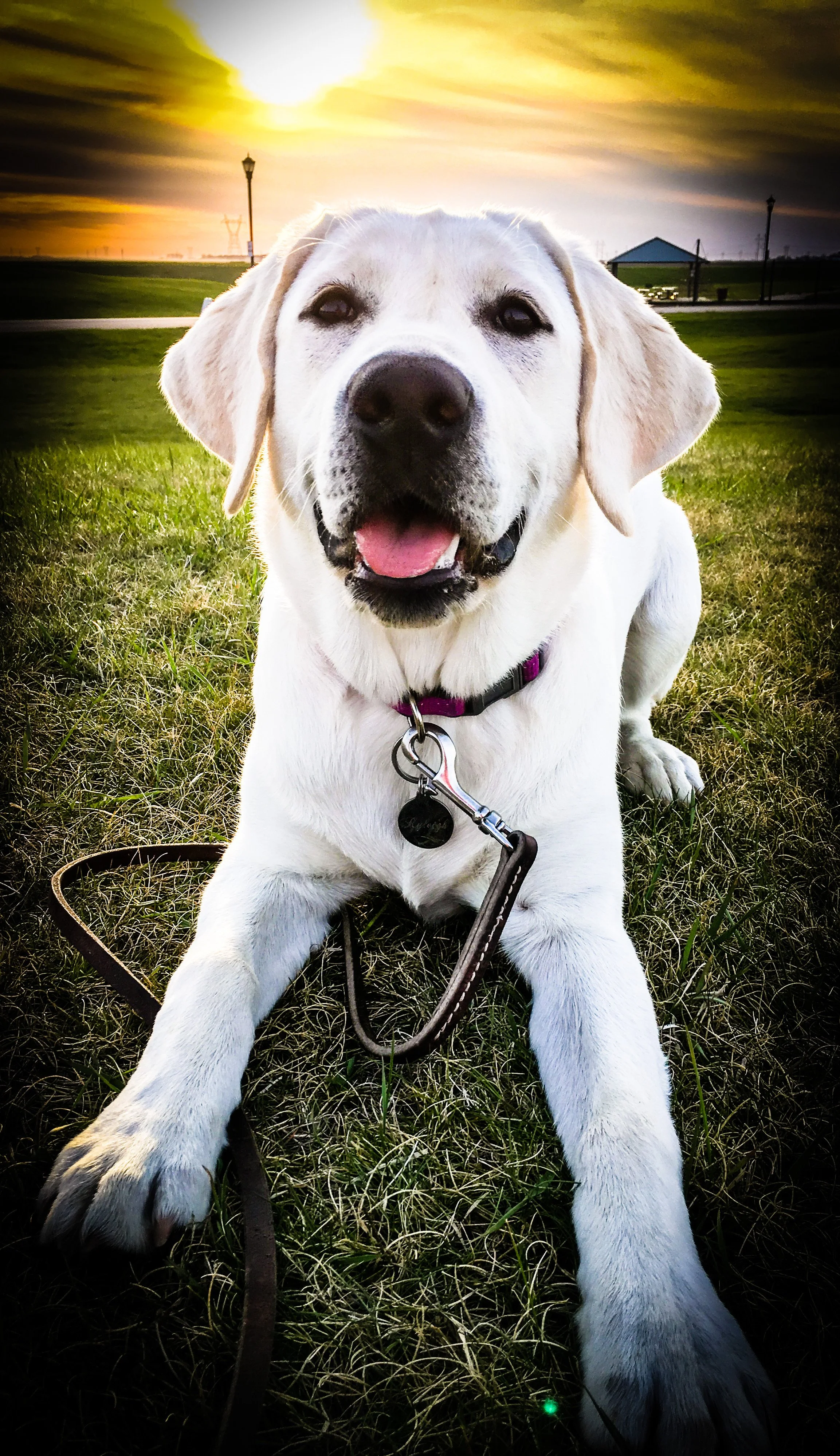 Two Rivers Veterinary Hospital | Compassionate Pet Care — Book Your Visit