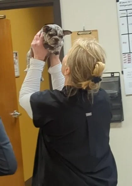 Services — Two Rivers Veterinary Hospital