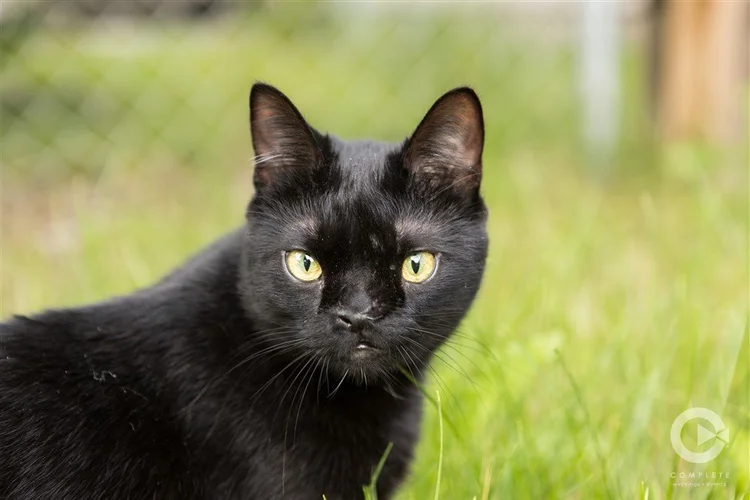 Two Rivers Veterinary Hospital