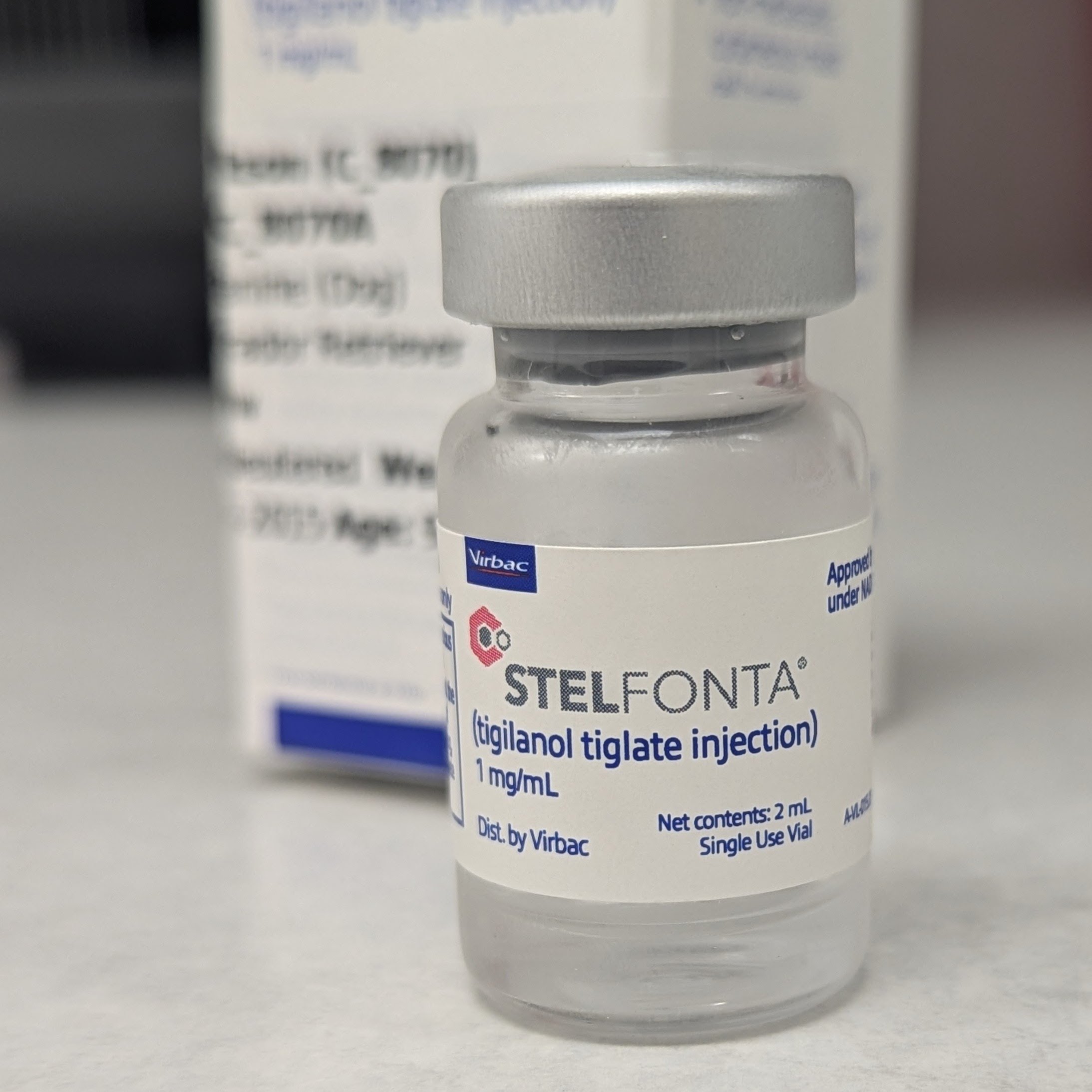 A New Non-Surgical Option for Some Mast Cell Tumors: Stelfonta — Two ...