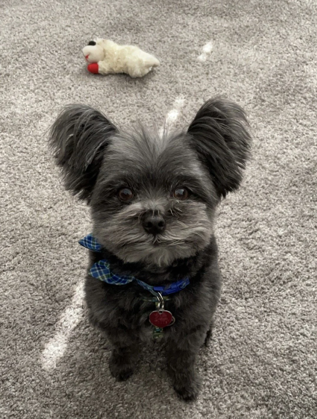 Two Rivers Veterinary Hospital