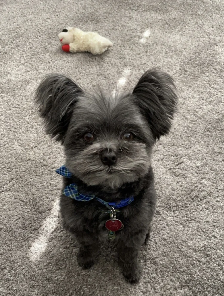 Two Rivers Veterinary Hospital