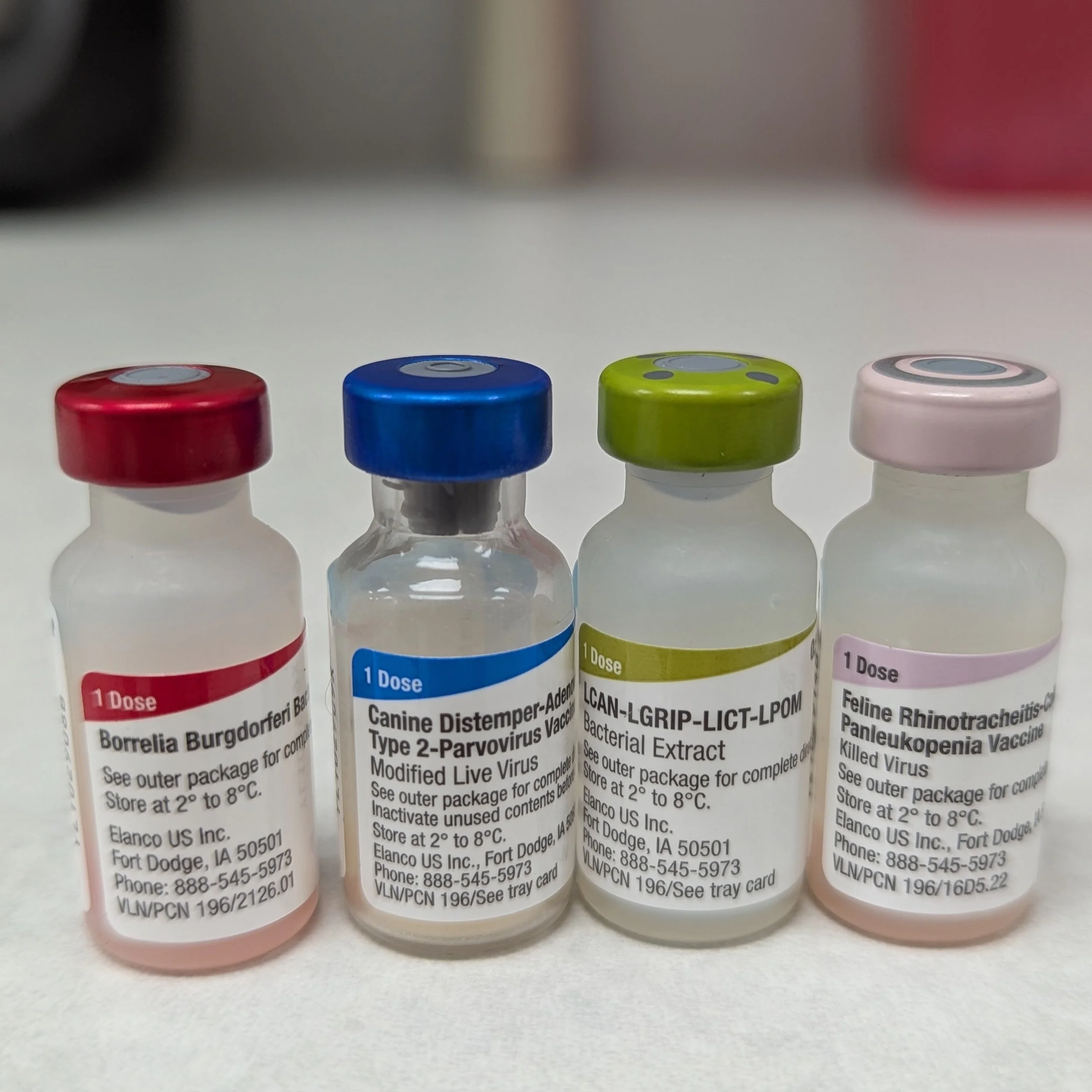 Why Do Pets Need Vaccine Boosters? — Two Rivers Veterinary Hospital