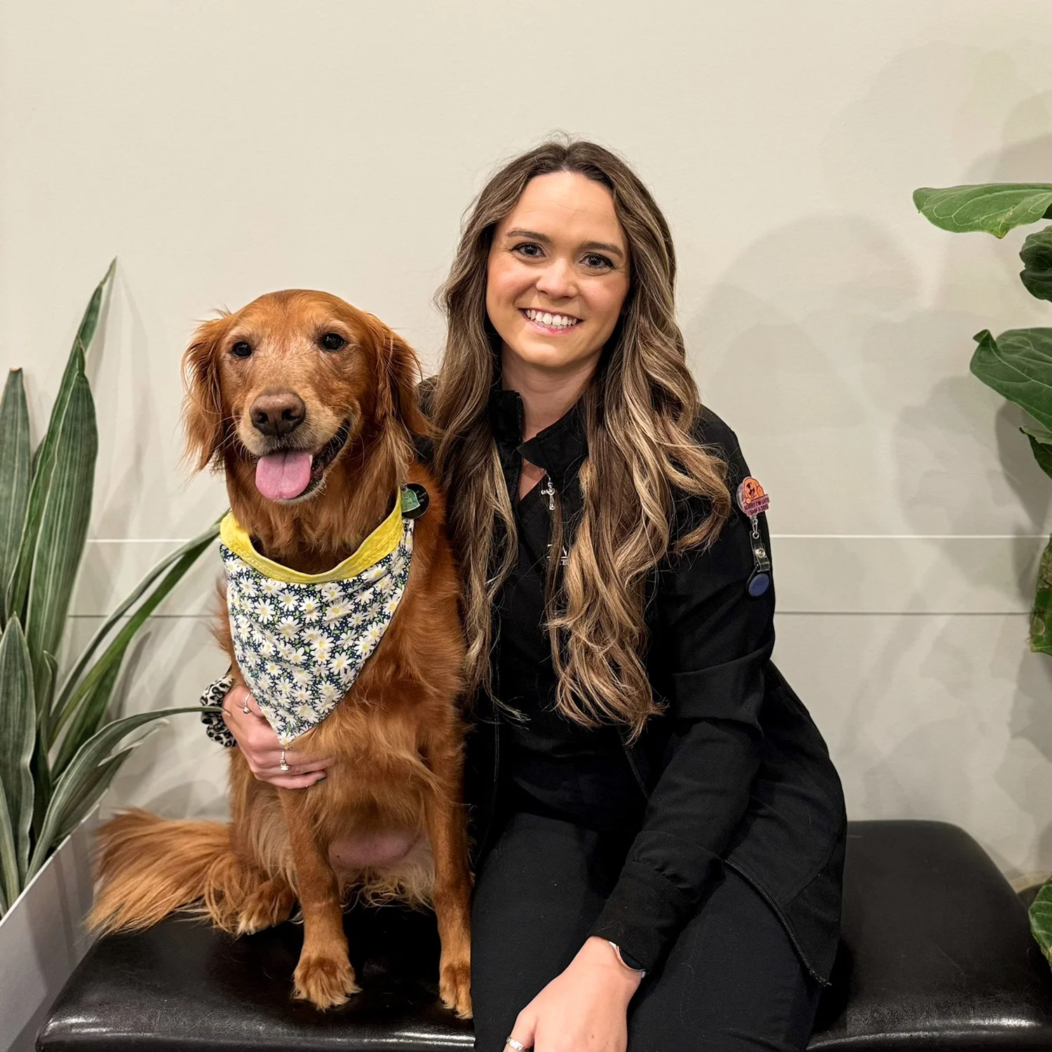 Veterinary & Appointment Assistants — Two Rivers Veterinary Hospital