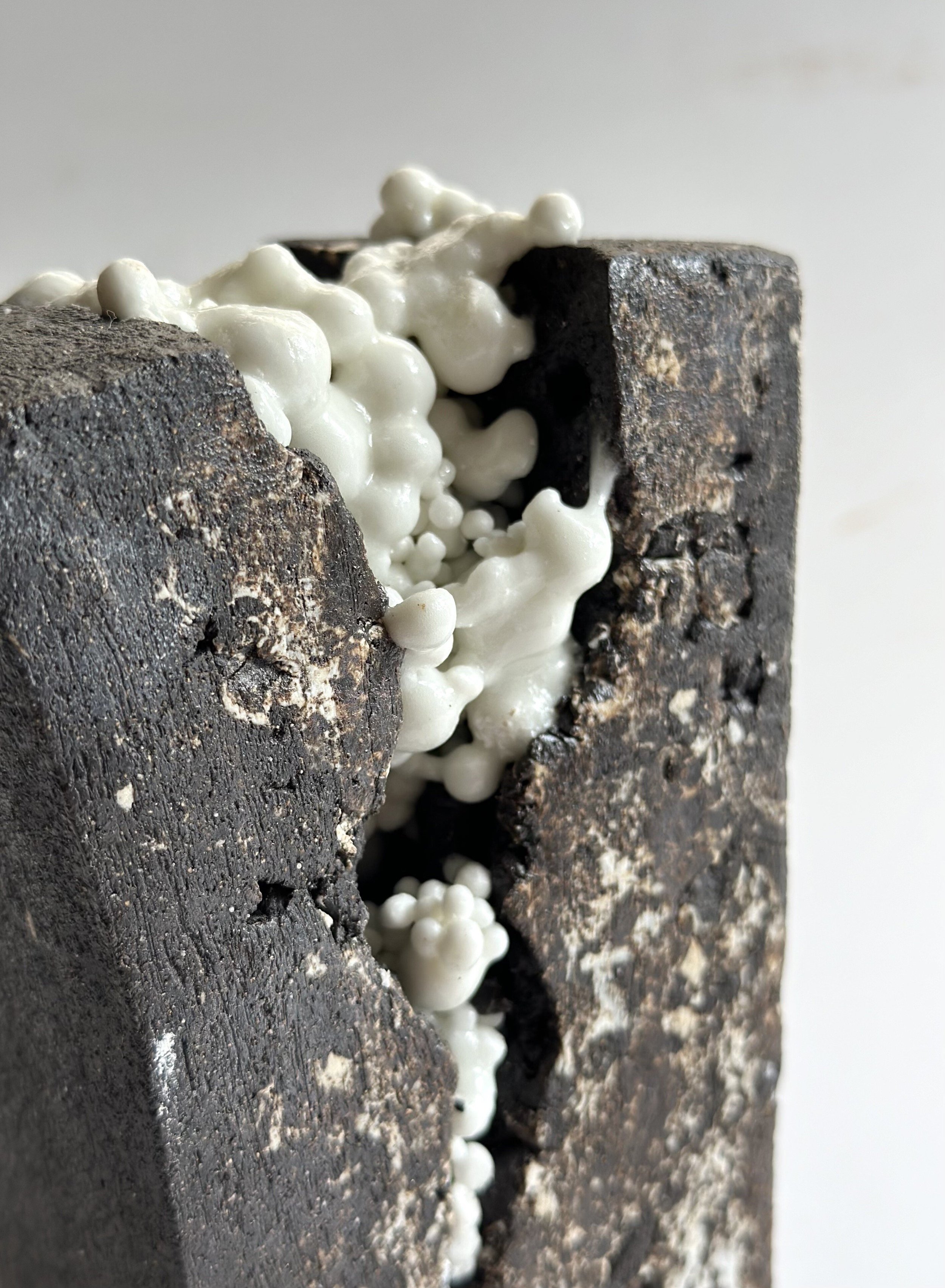 The Goo Nature Of — Loram Ceramics