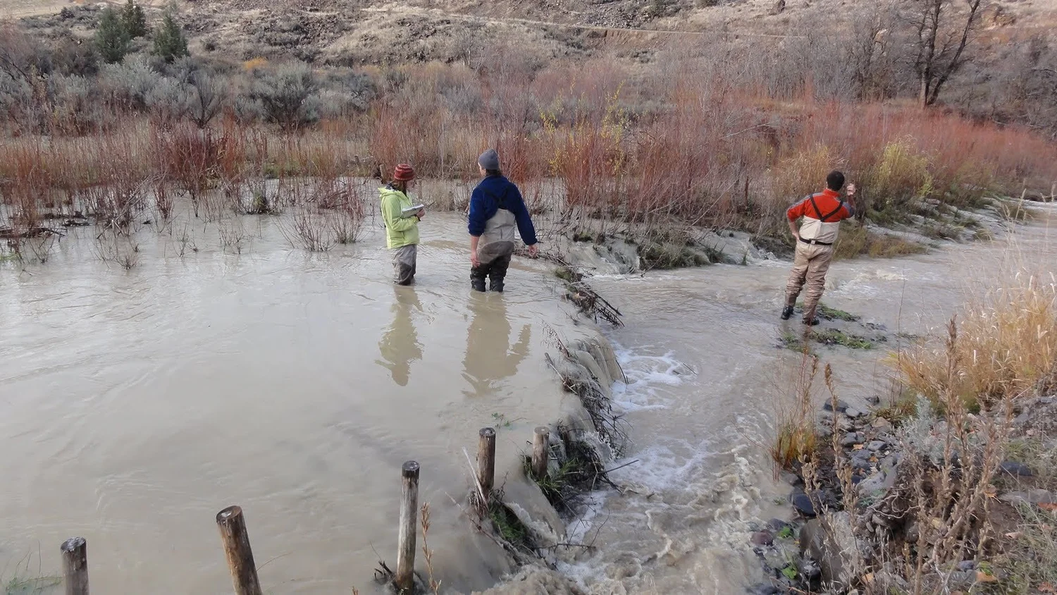 Understanding Low-Tech, Process-Based Restoration (LTPBR) — Anabranch ...