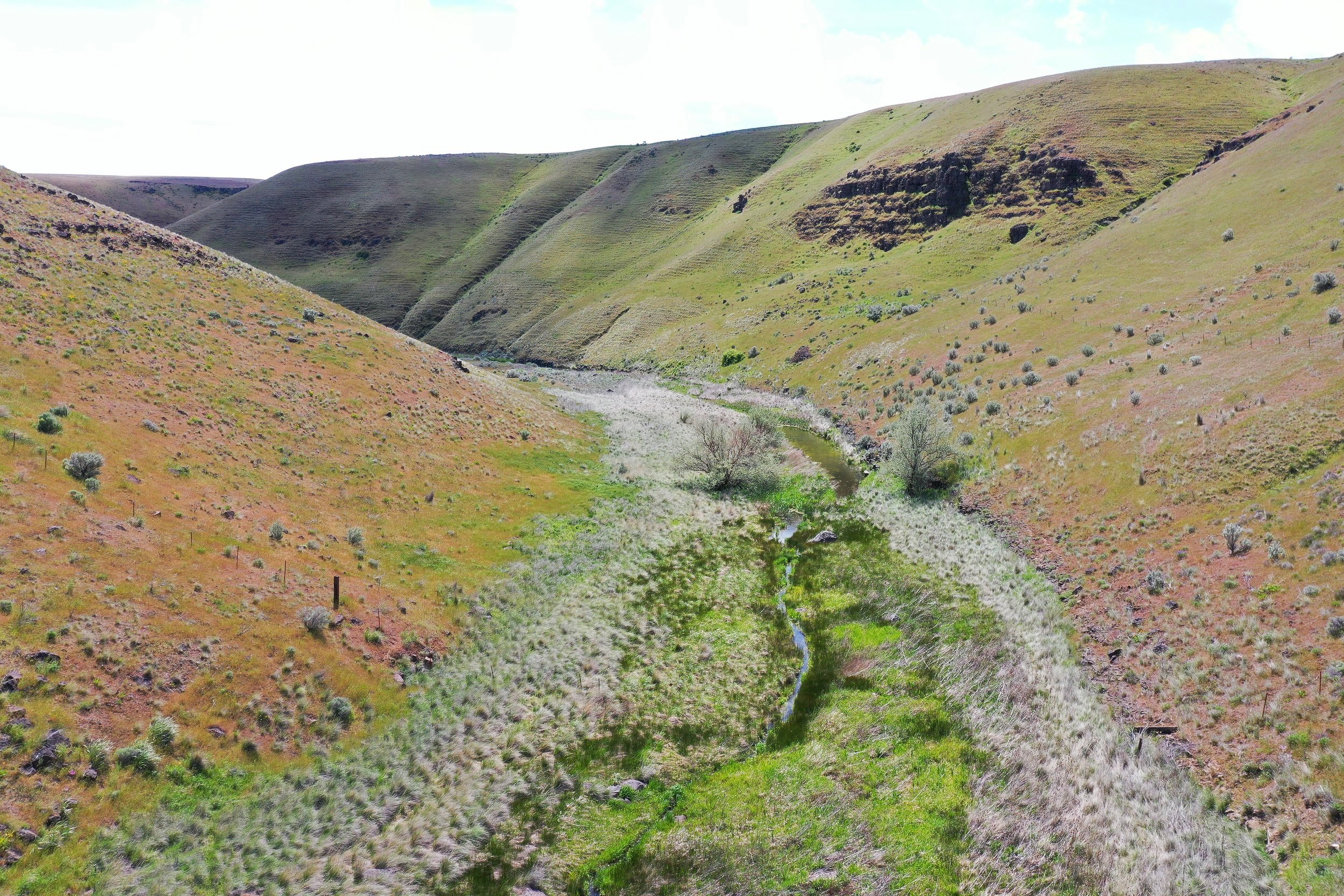 Understanding Low-Tech, Process-Based Restoration (LTPBR) — Anabranch ...