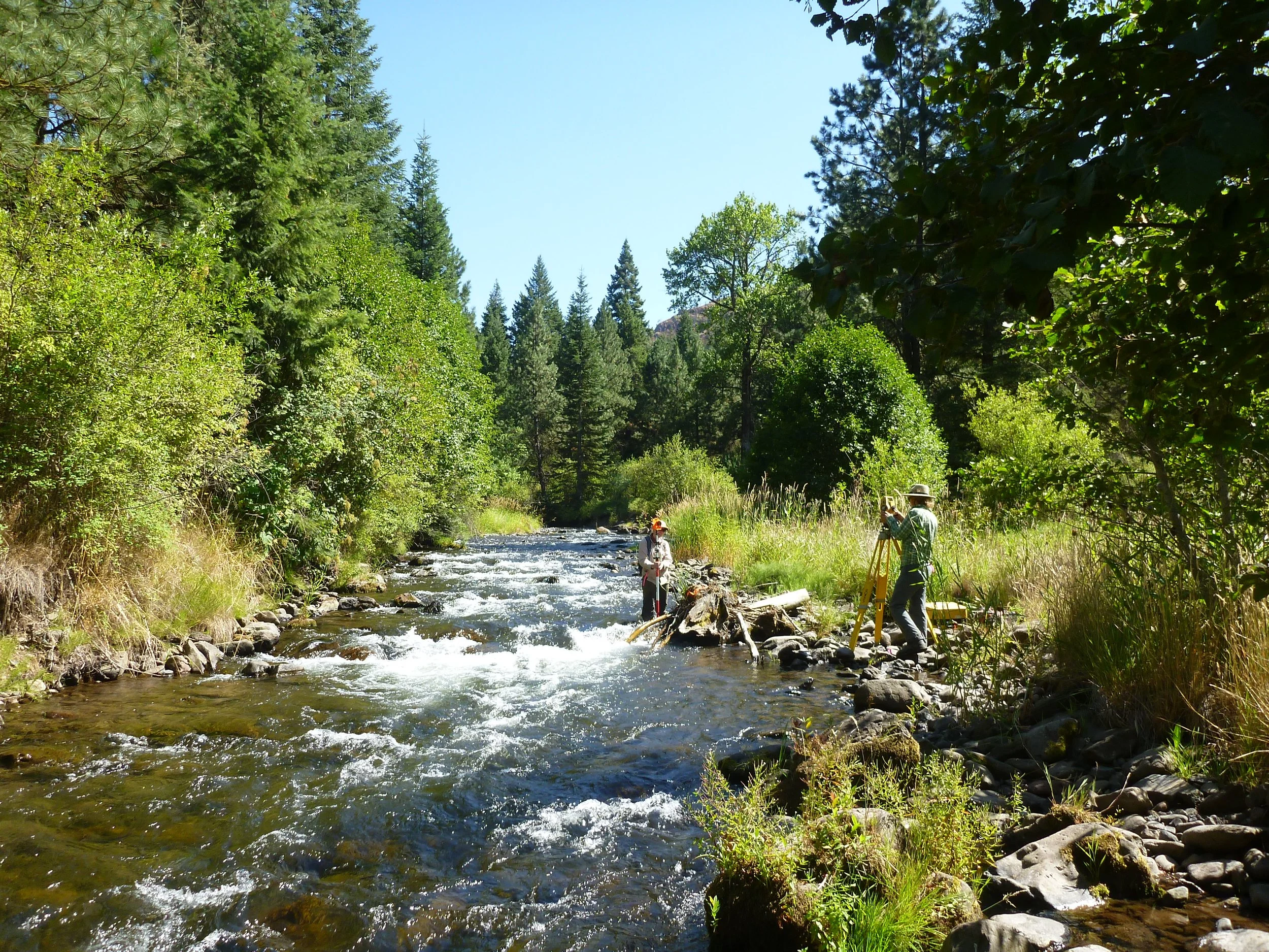 Our Origins | From Ecological Research to Leaders in Process-Based ...