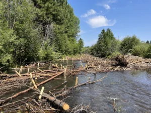 Understanding Low-Tech, Process-Based Restoration (LTPBR) — Anabranch ...