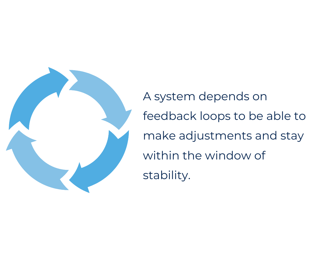 What is interoception and how do we support it — Inclusive Psychology