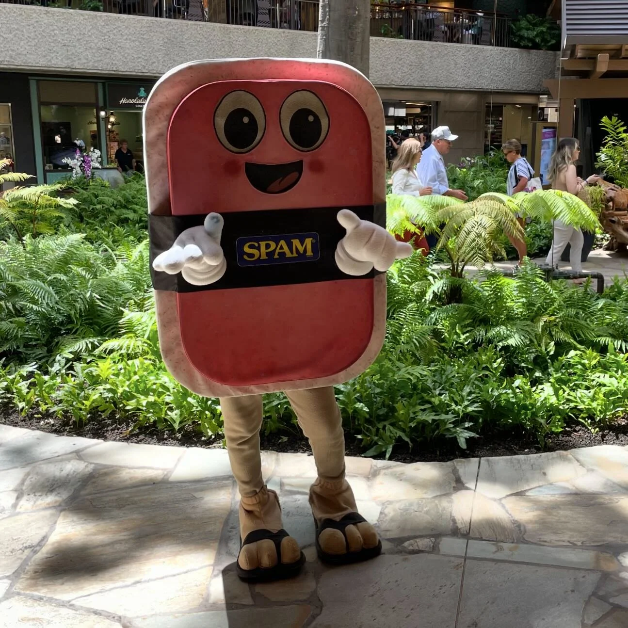 Instagram Gallery — Waikiki Spam Jam