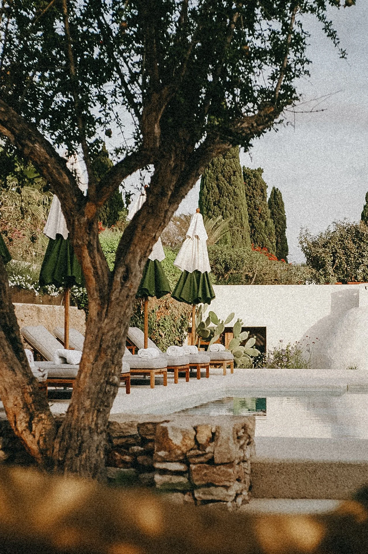 ROCA HOUSE | RESTAURANT IBIZA
