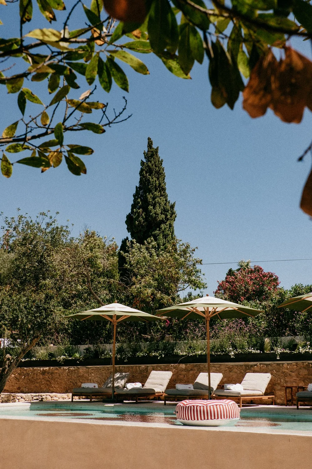 ROCA HOUSE | RESTAURANT IBIZA