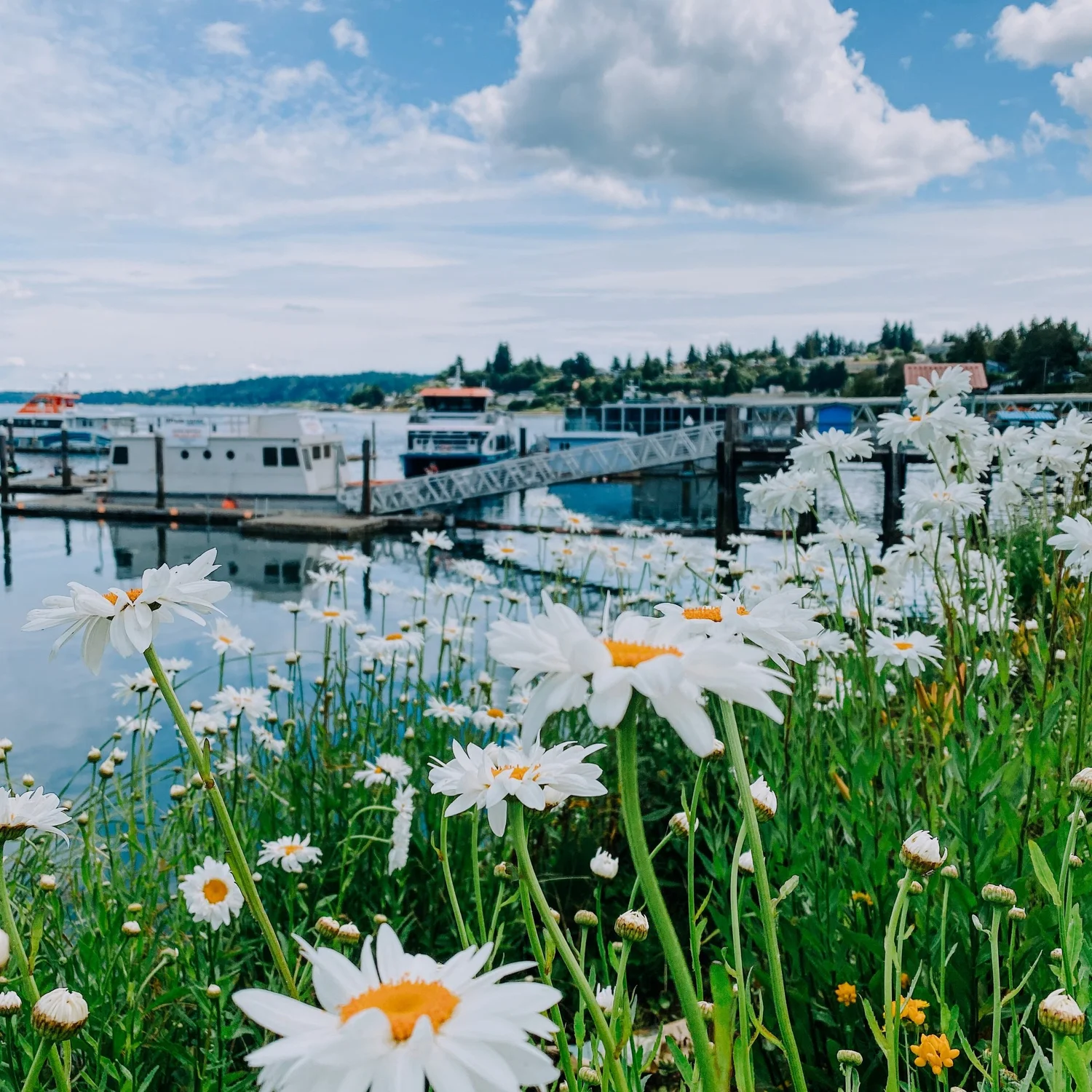 explore — Port Orchard Waterfront