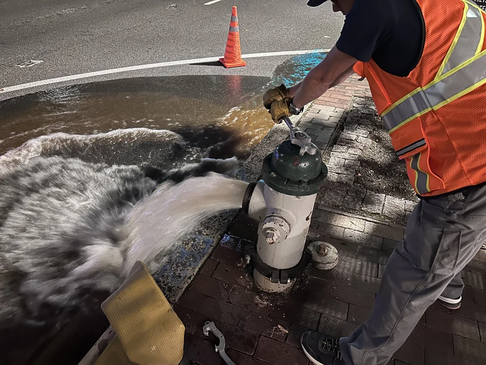 The Importance of Flushing Fire Hydrants and Standpipe Systems ...