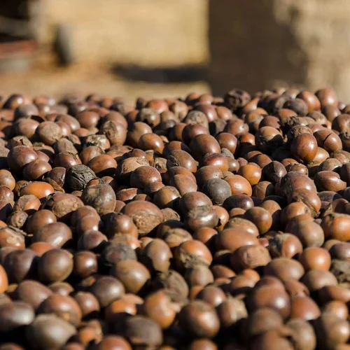 B&D Trading | Manufacturer and Supplier of Shea Stearin
